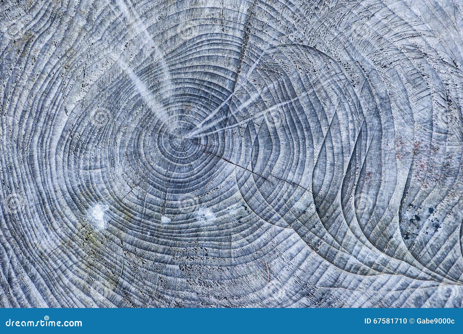 Abstract tree rings detail stock photo. Image of wooden - 67581710