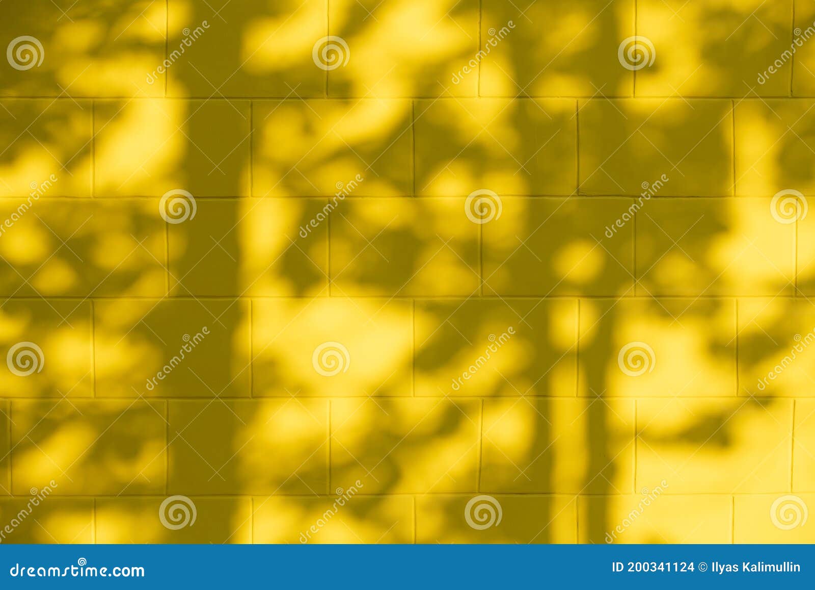 Abstract Tree Shadows on Yellow Wall Stock Photo - Image of russia ...