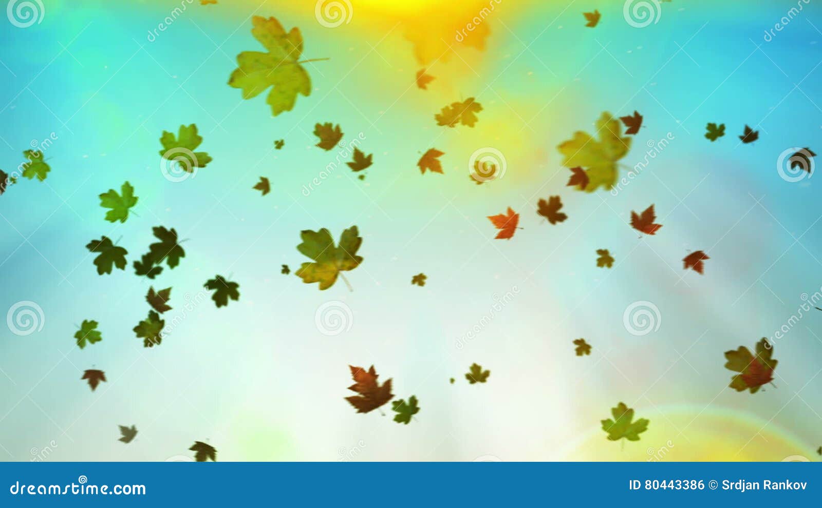 Abstract Tree Shaken by Wind Stock Footage - Video of environment ...