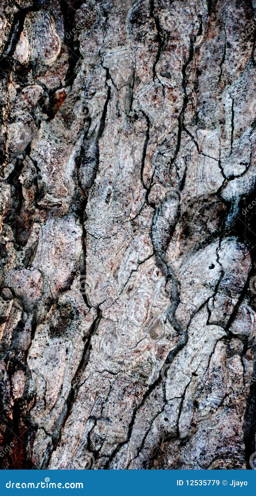 Abstract Tree Surface Texture Stock Image - Image of nature, rough ...
