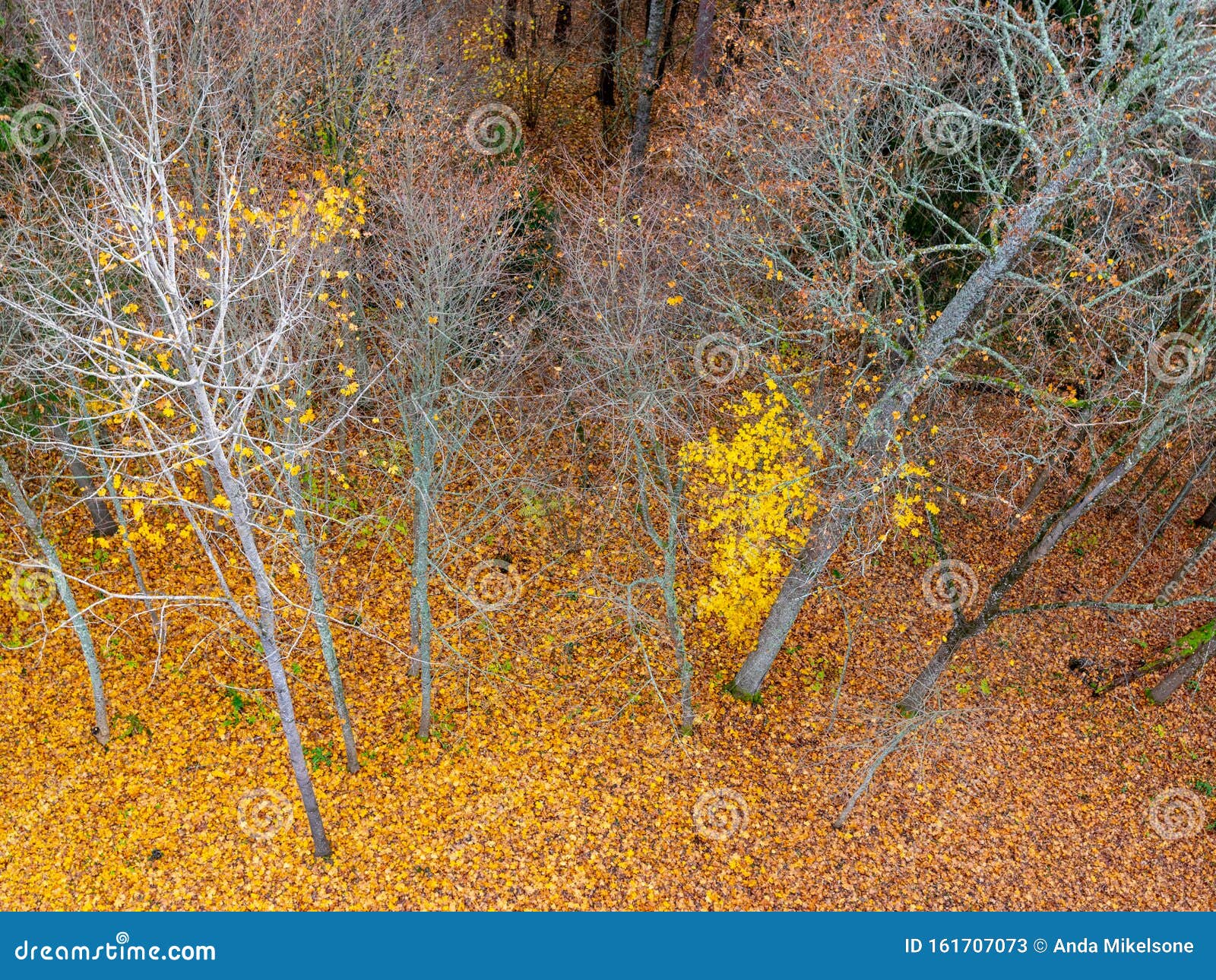 Top View Of Ground Sandy Background Royalty-Free Stock Photography ...