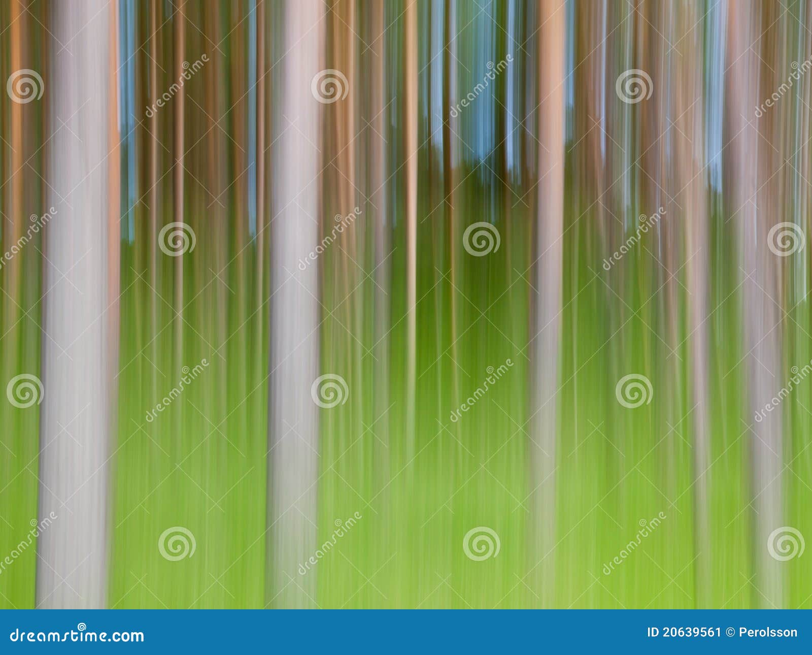 Abstract trees stock image. Image of forest, natural - 20639561