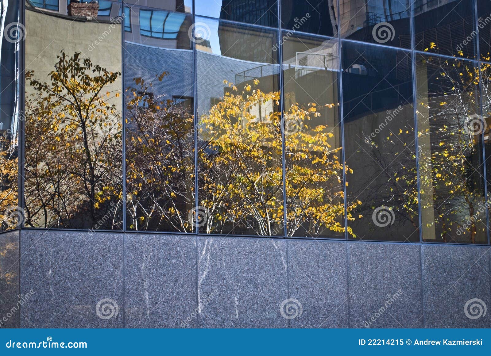 Abstract Trees stock image. Image of modern, fall, architecture - 22214215