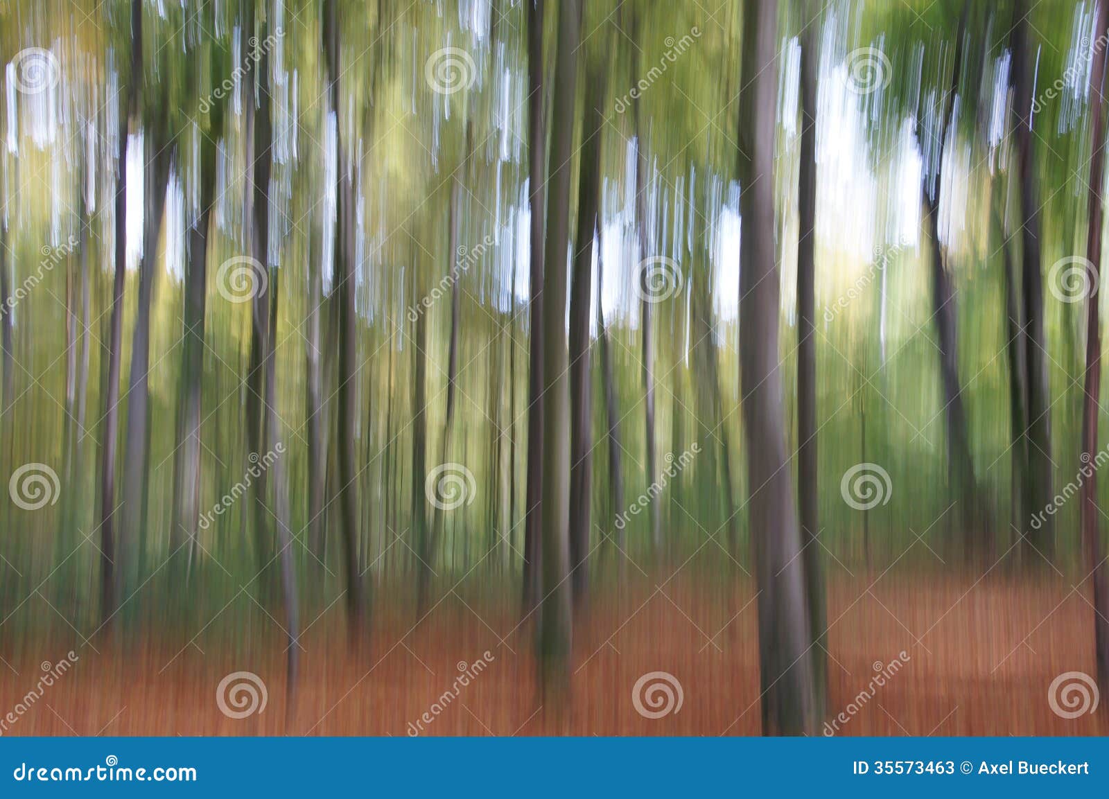 Abstract trees stock image. Image of woodlands, tree - 35573463