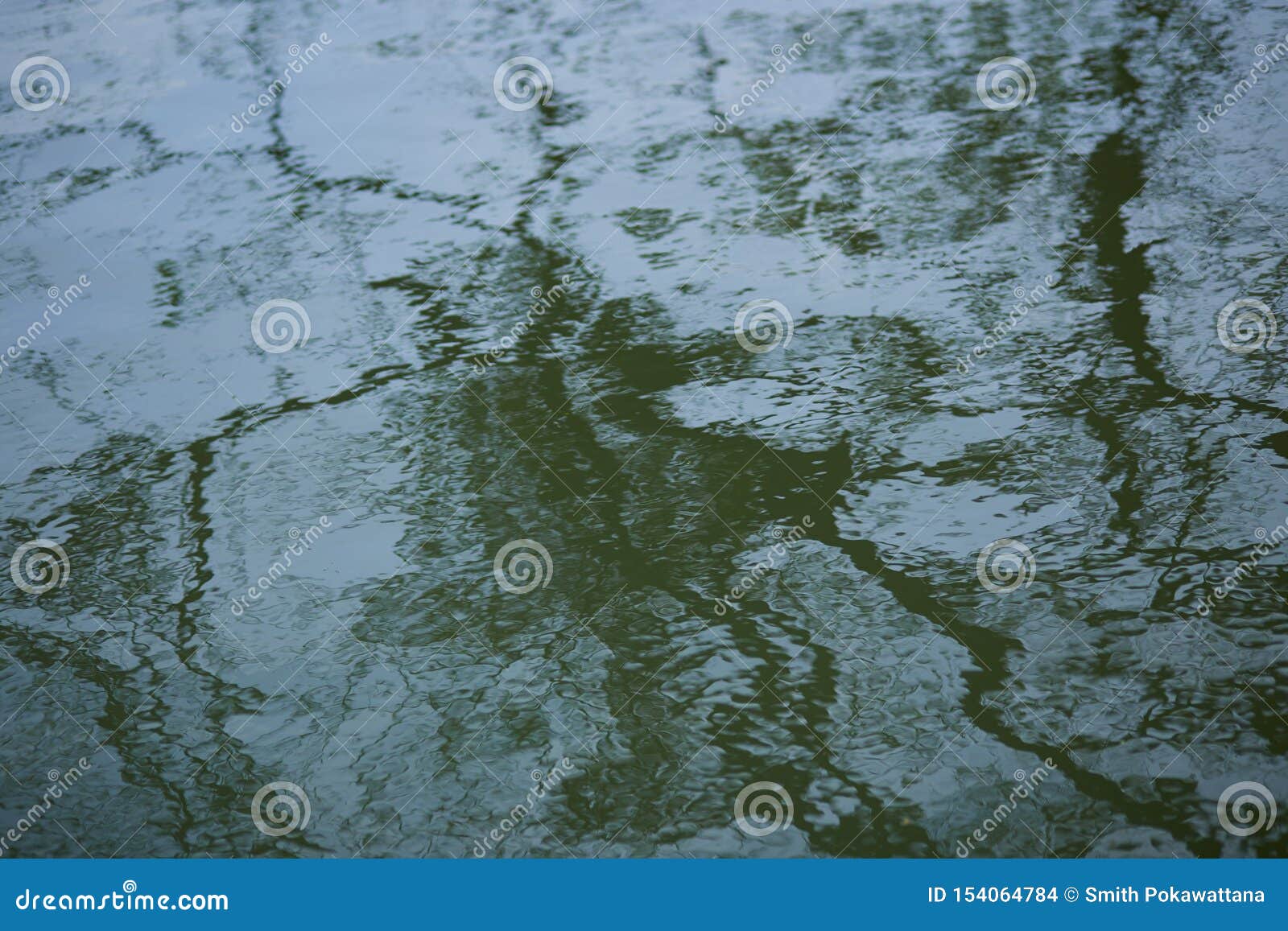 Abstract Trees Reflection on Rippled Water Surface Stock Photo - Image ...