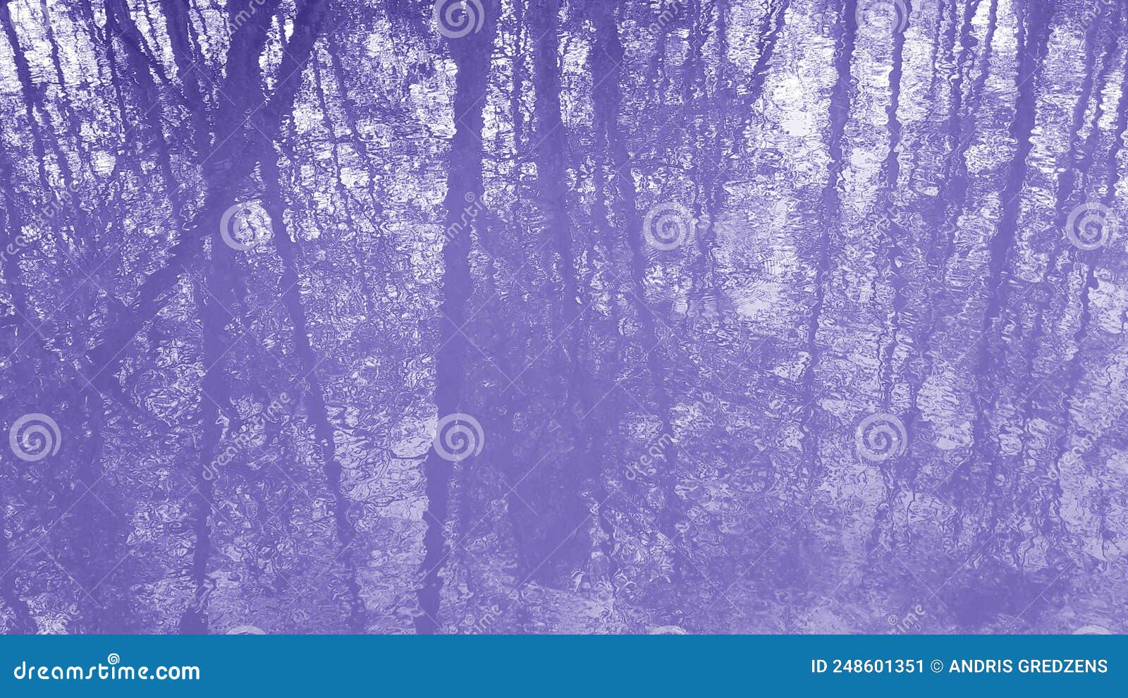 Abstract trees shadow stock image. Image of violet, azure - 248601351