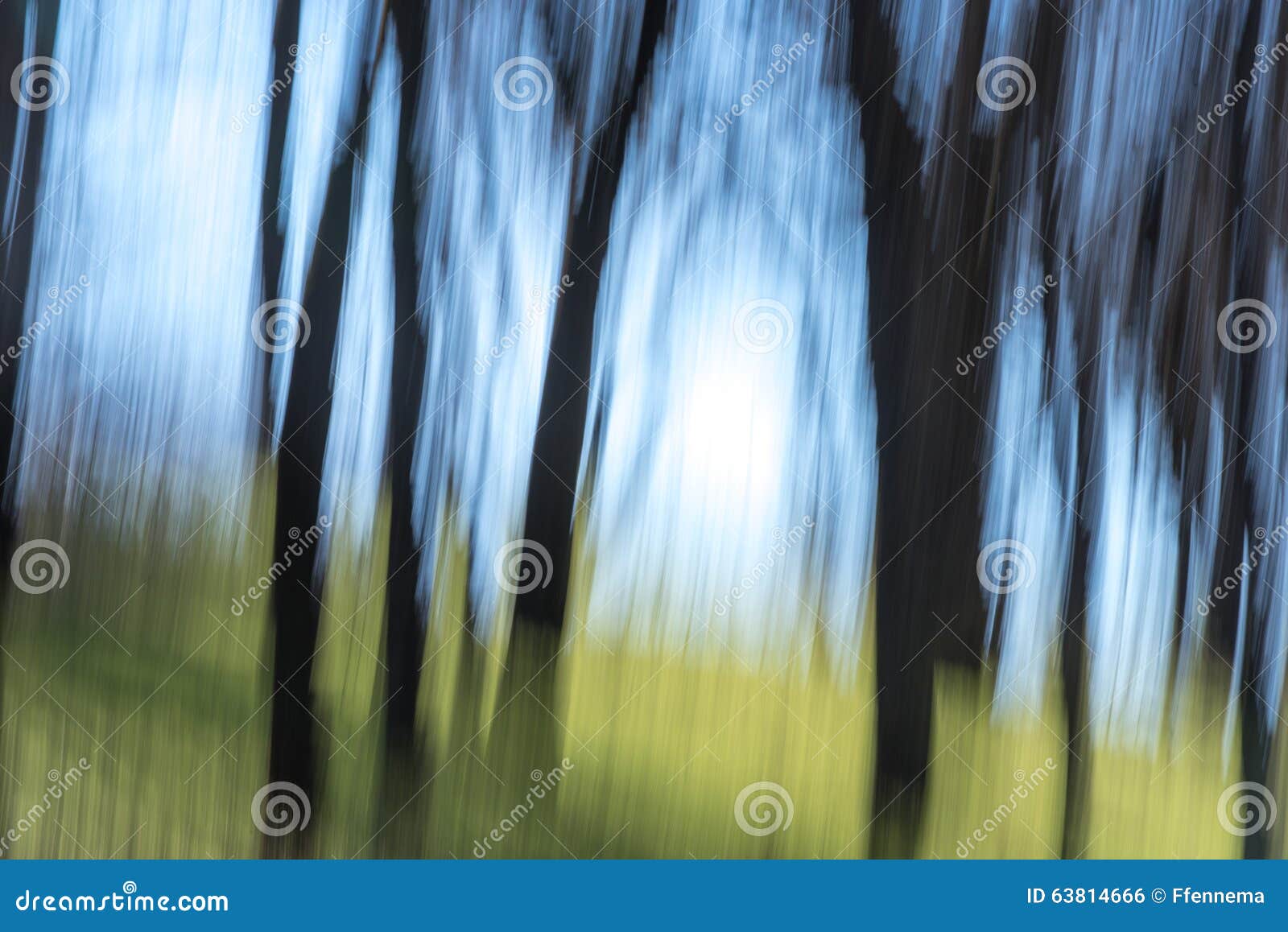 Abstract of Trees and Sky with Blur Stock Photo - Image of backdrop ...
