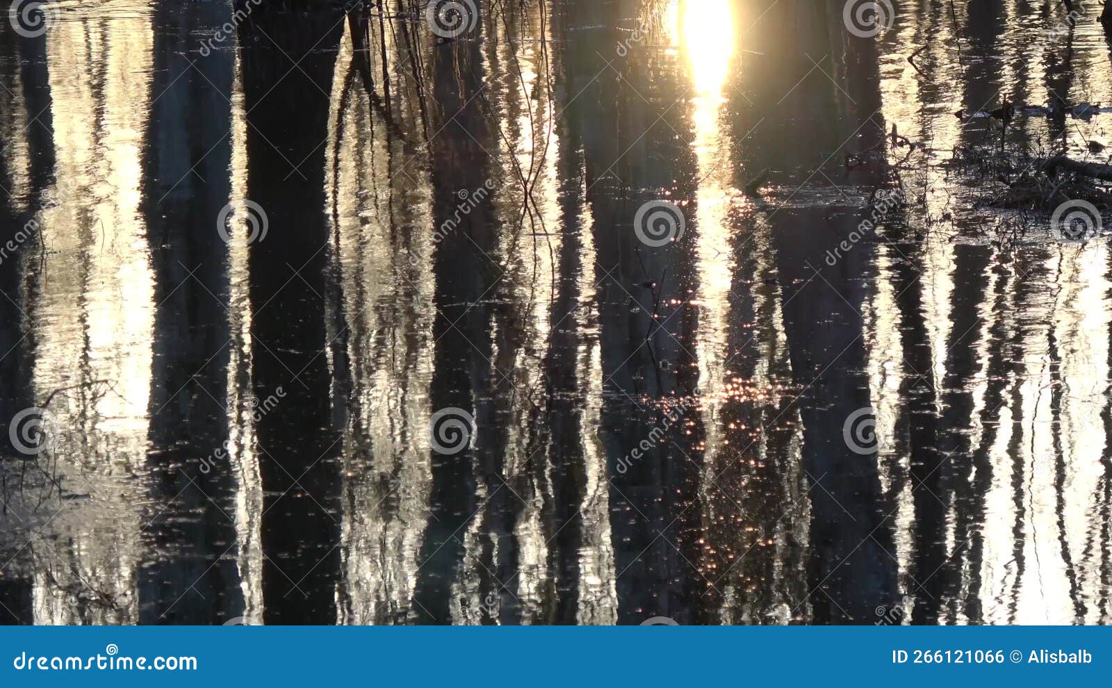 Abstract Trees and Sunset Light Reflections on Water Background Stock ...