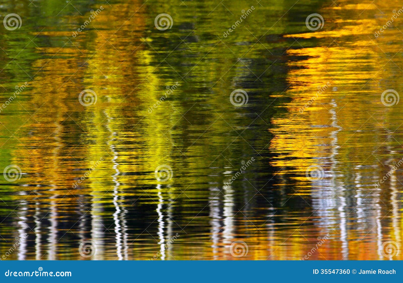 Abstract Trees Water Reflection Stock Photo - Image of tree, light ...