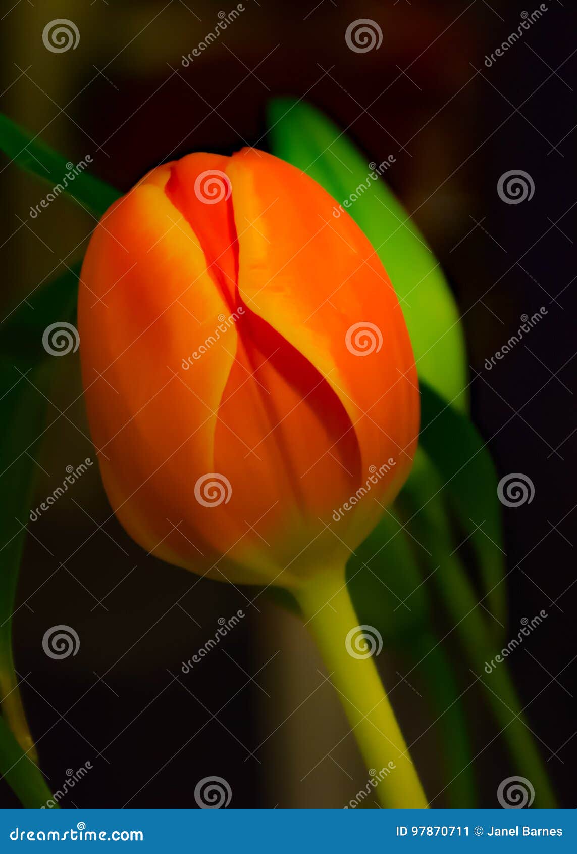Abstract Tulips Red Soft Background Spring Green Stem Stock Image ...