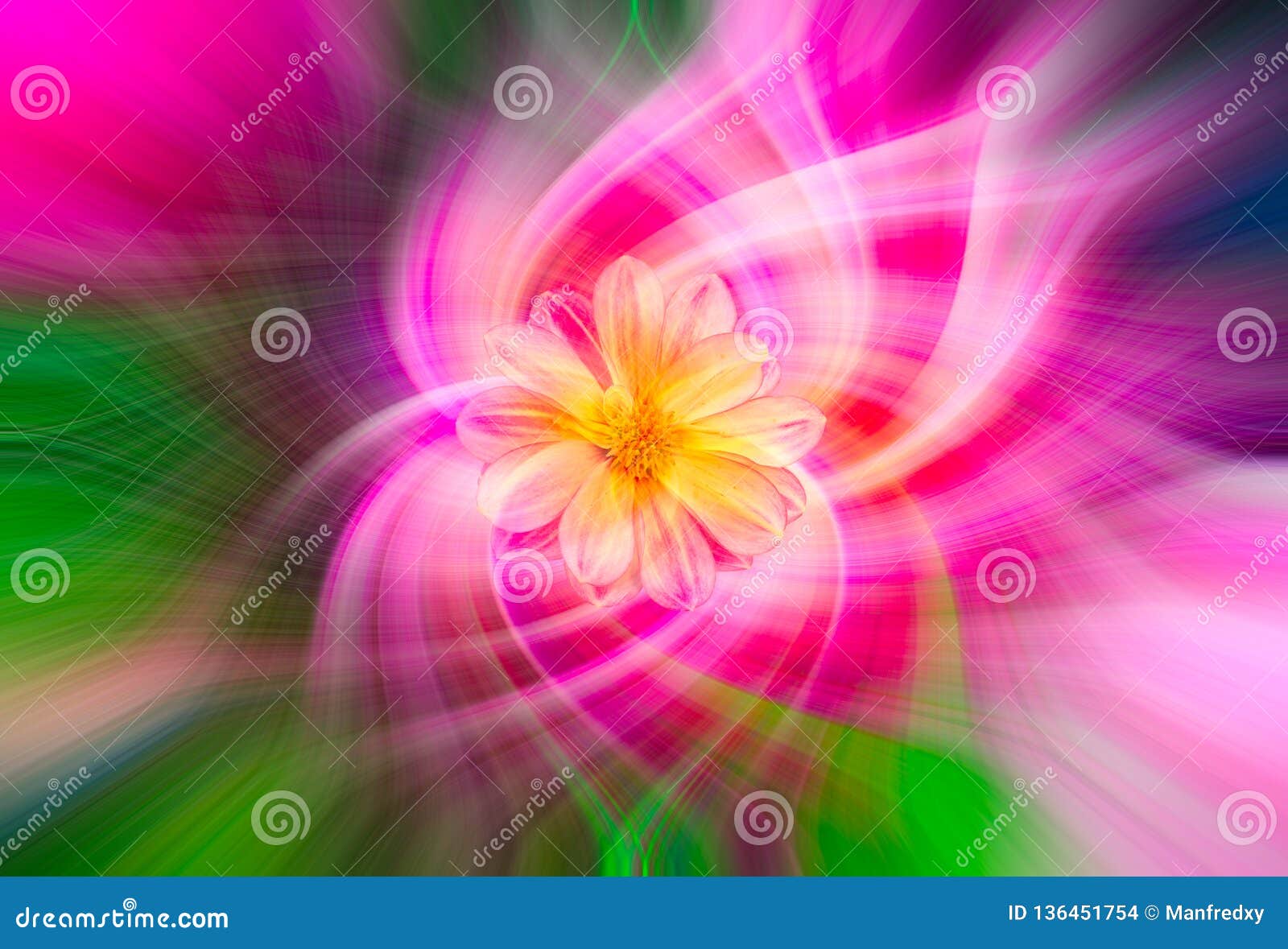 Abstract Twirl Effect Background with Flower Stock Photo - Image of ...