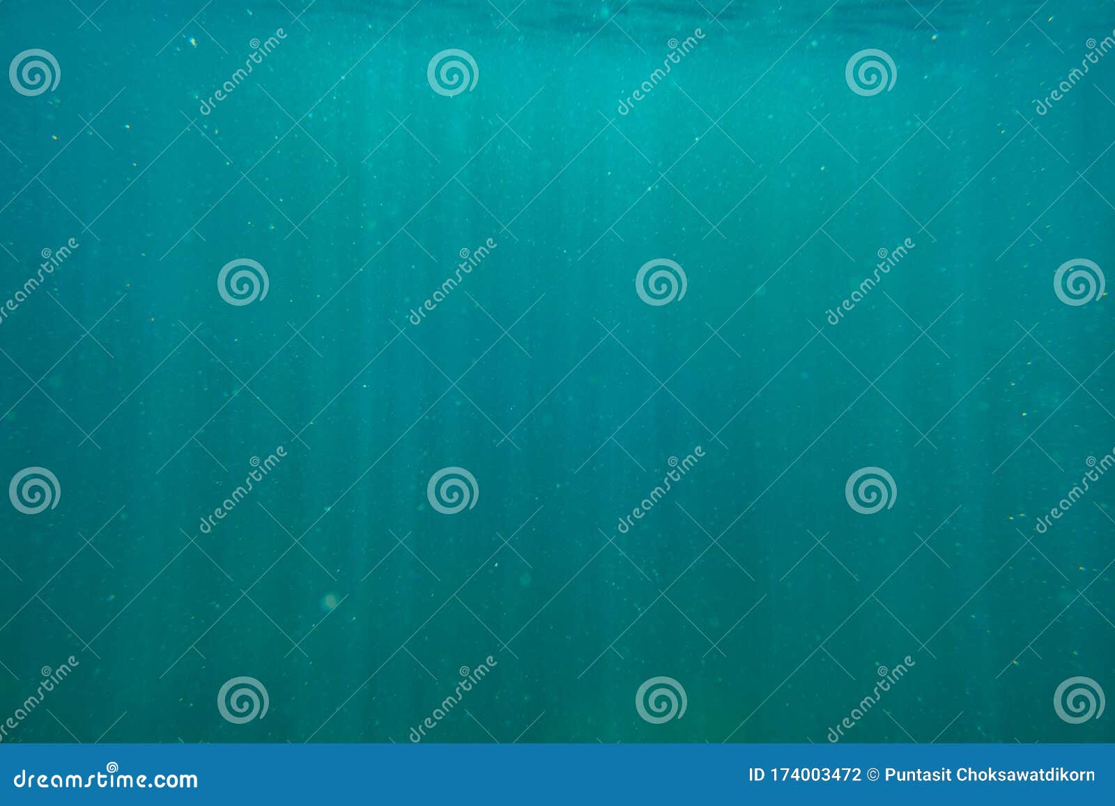 Marine Plankton Or Microalgae Culture Into A Test Tube In Laboratory ...