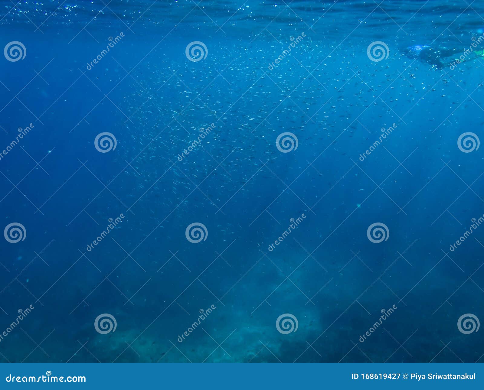 Abstract Underwater Background Stock Image - Image of aquatic ...