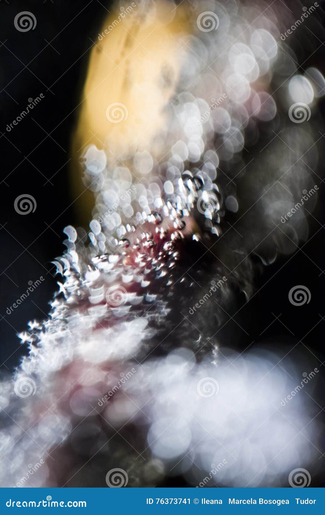 Abstract Underwater Shapes with Bubbles Stock Image - Image of abstract ...
