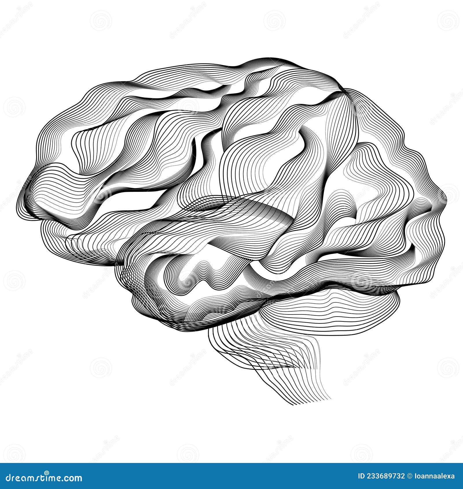Abstract Vector Dynamic Linear Brain Illustration Stock Vector ...