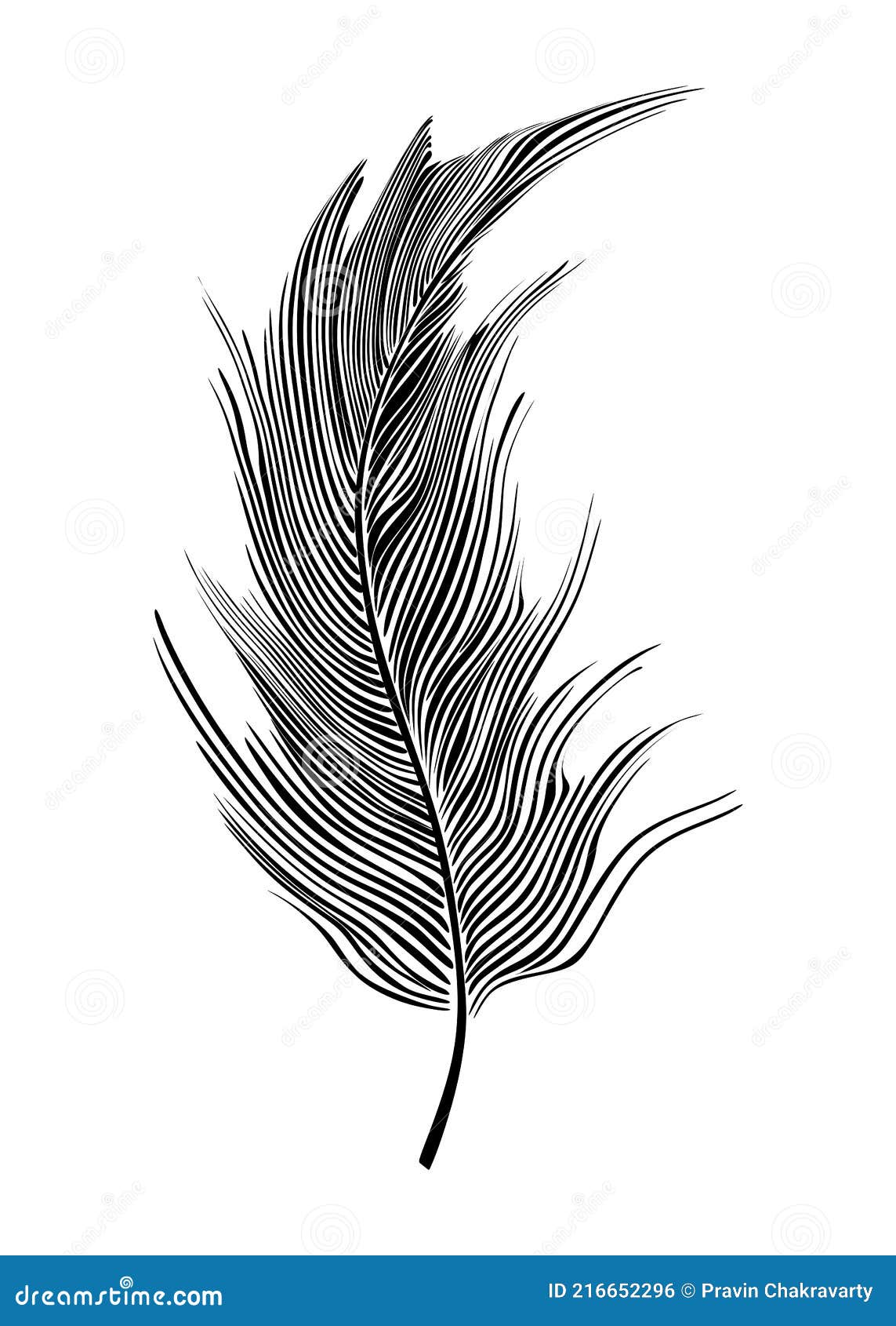 Abstract Vector Feather Isolated on White Background. Stock Vector ...