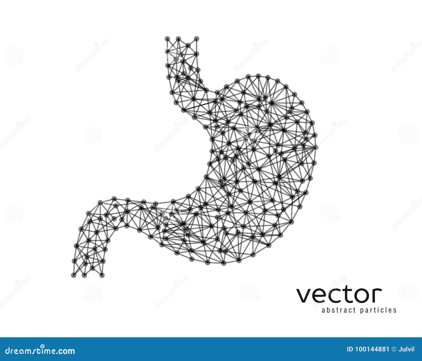Abstract Vector Illustration of Human Stomach. Stock Vector ...