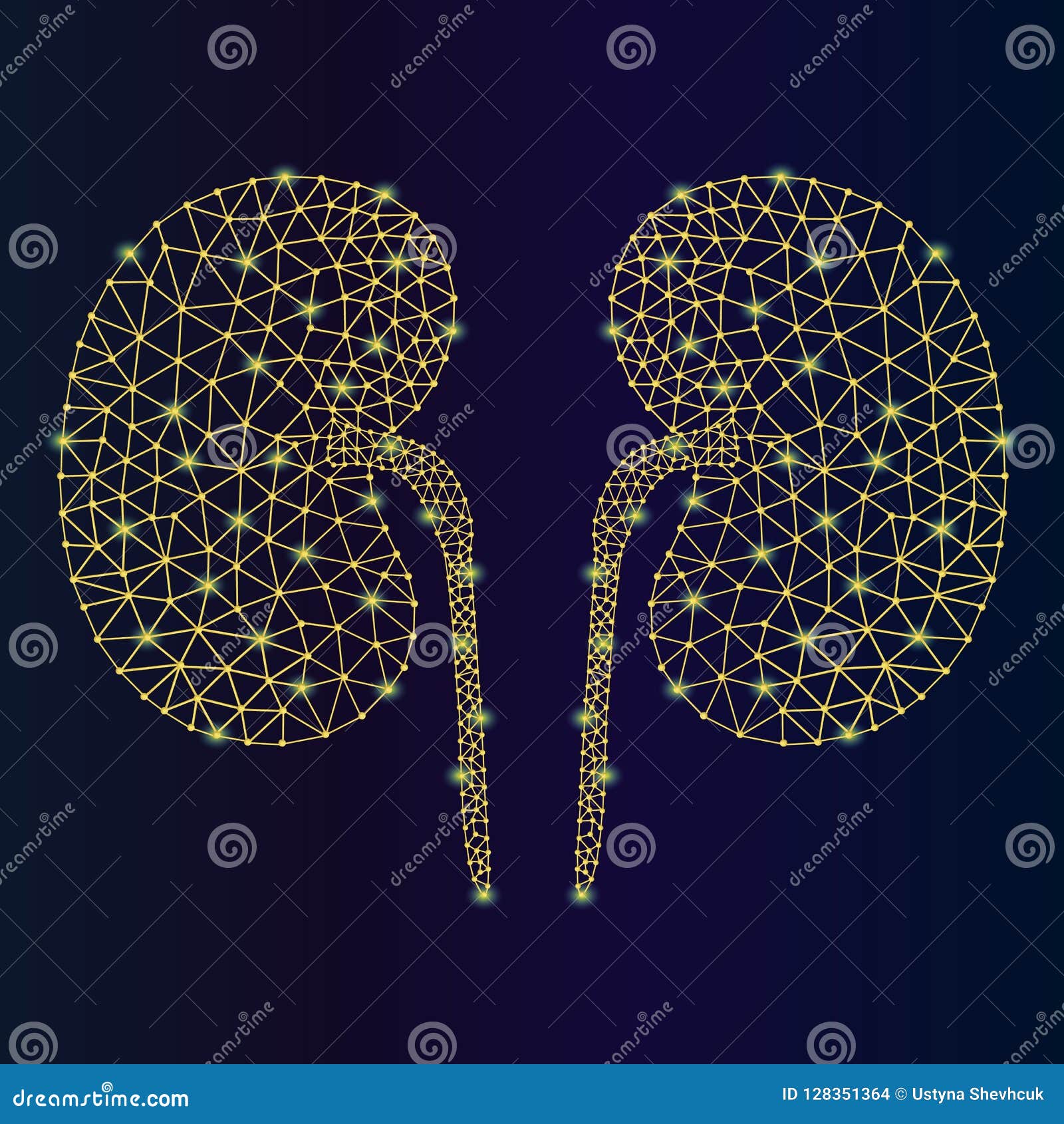 Abstract Vector Illustration Kidneys Human. Kidneys on Blue Backgorund ...