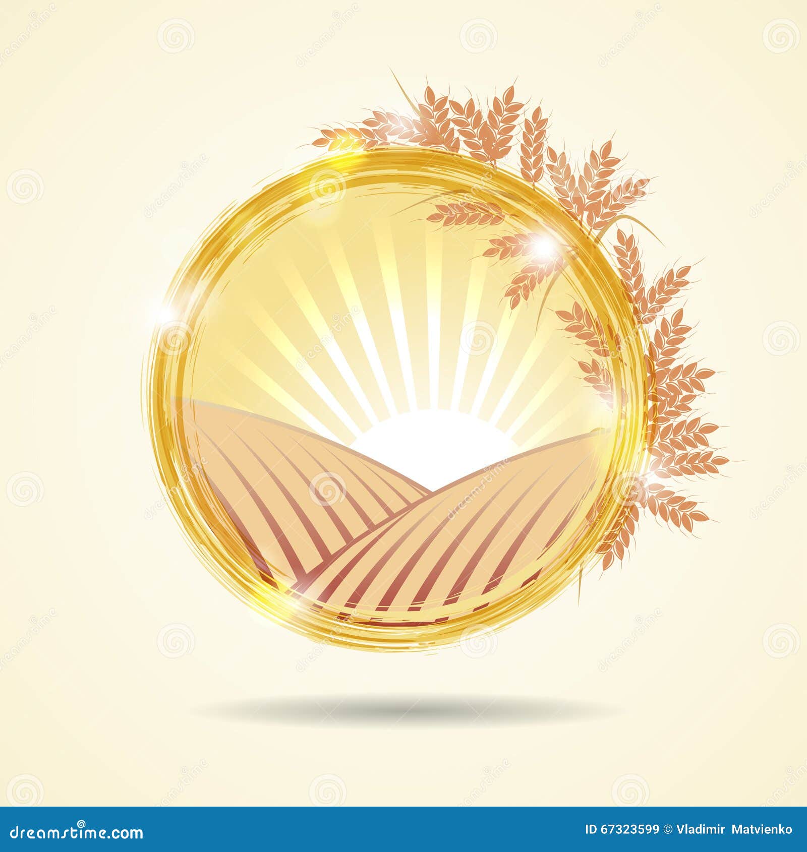 Abstract Vector Illustration of a Wheat Field at Sunset Stock Vector ...