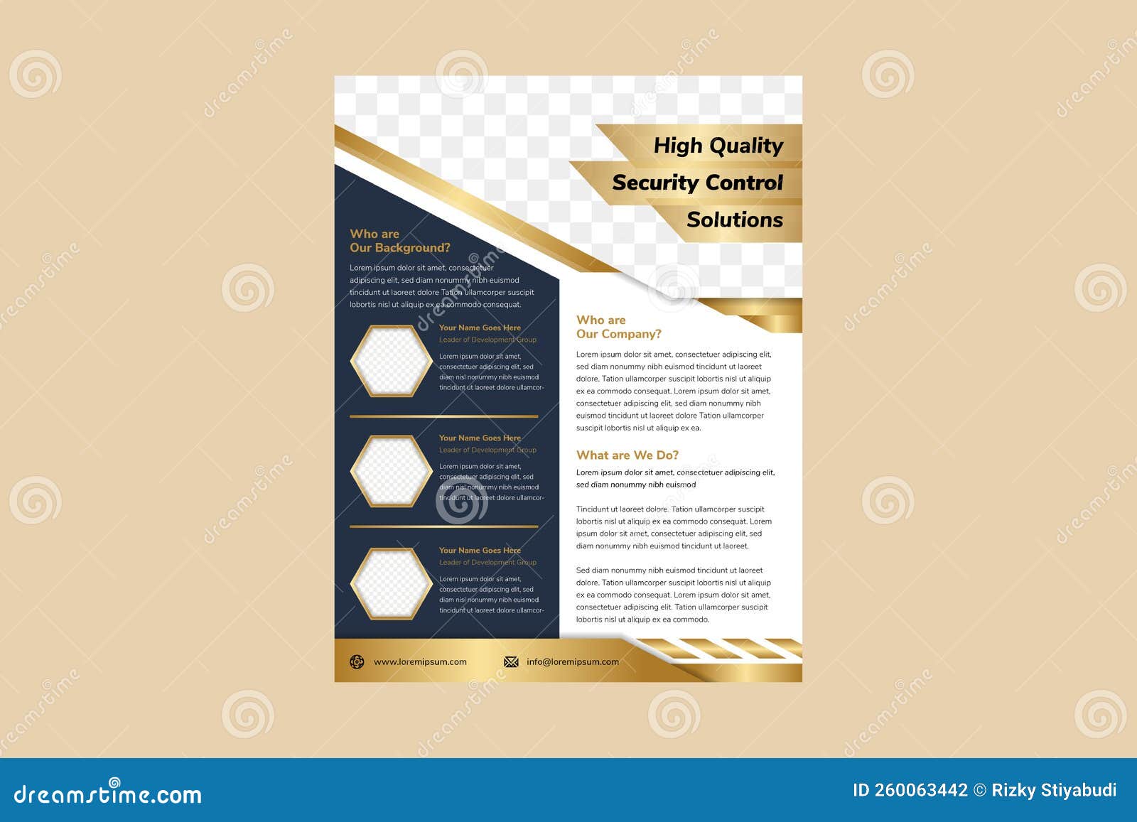 Abstract Vector Modern Flyers Template Design for Security Control ...