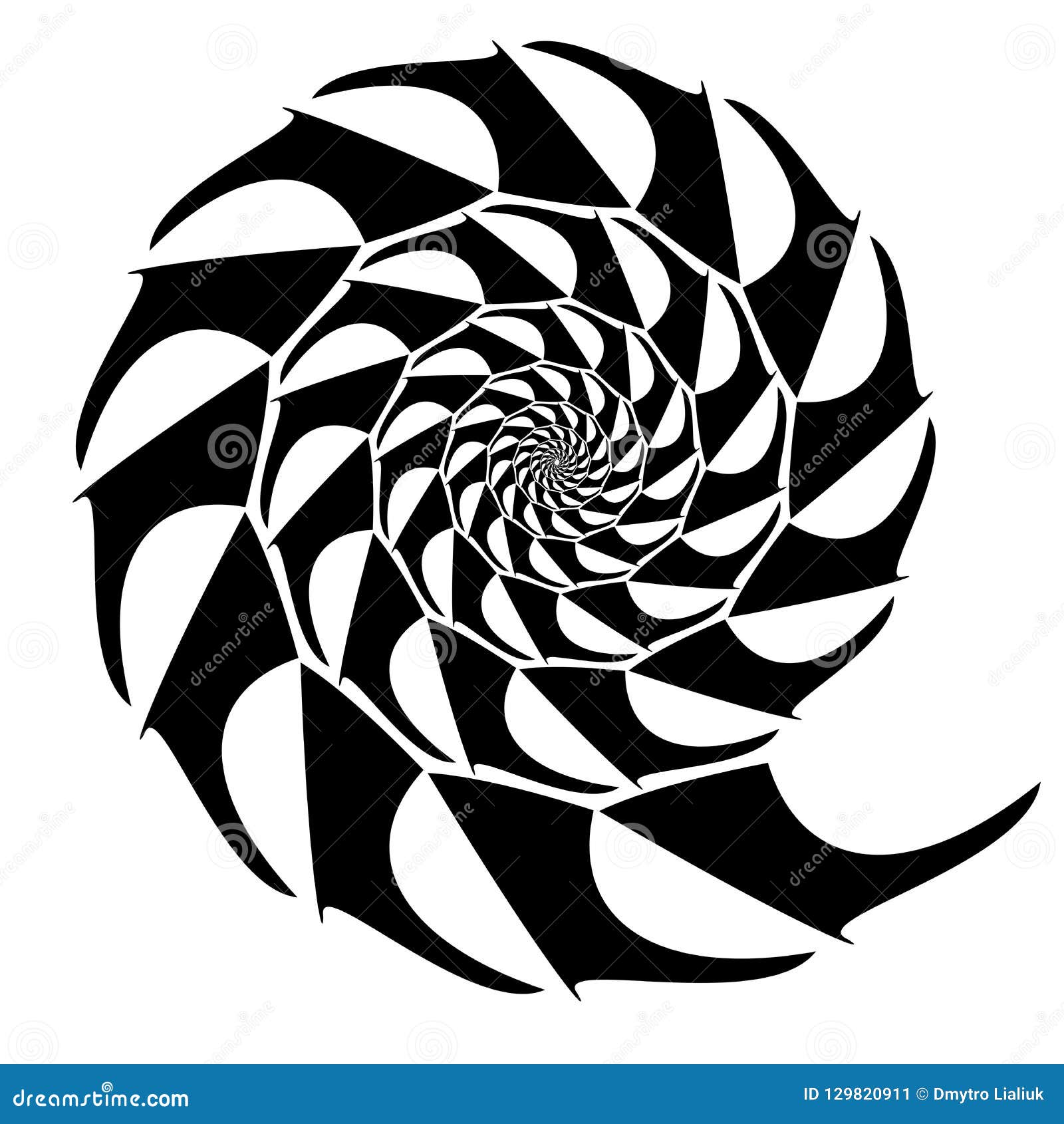 Abstract Vector Shell. Spiral Shape, Shell Stock Illustration ...