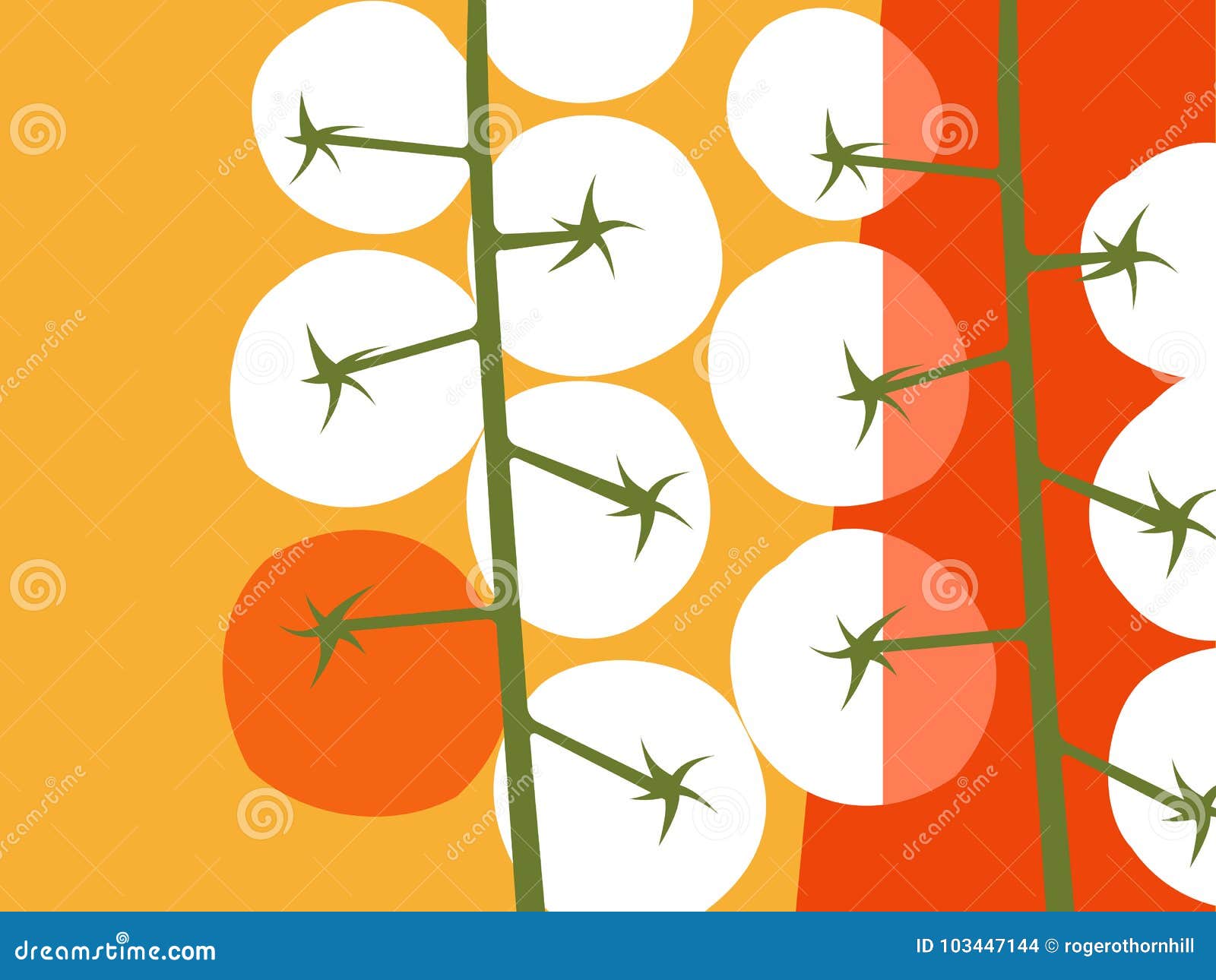 Abstract Vegetable Design. Rows of Tomatoes. Stock Vector ...
