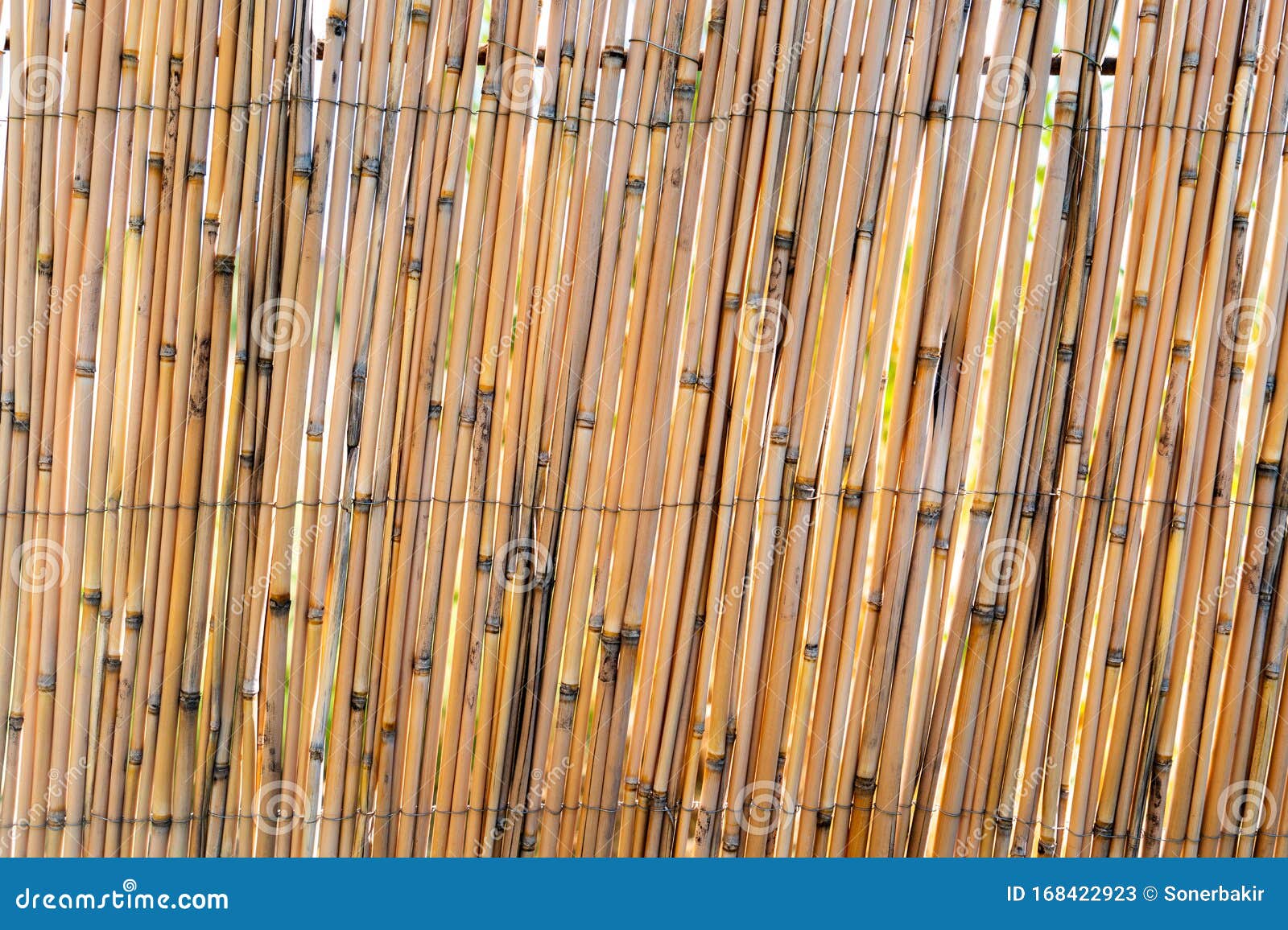 Abstract Vertical Stripes Texture Background. Seamless Dry Reeds ...