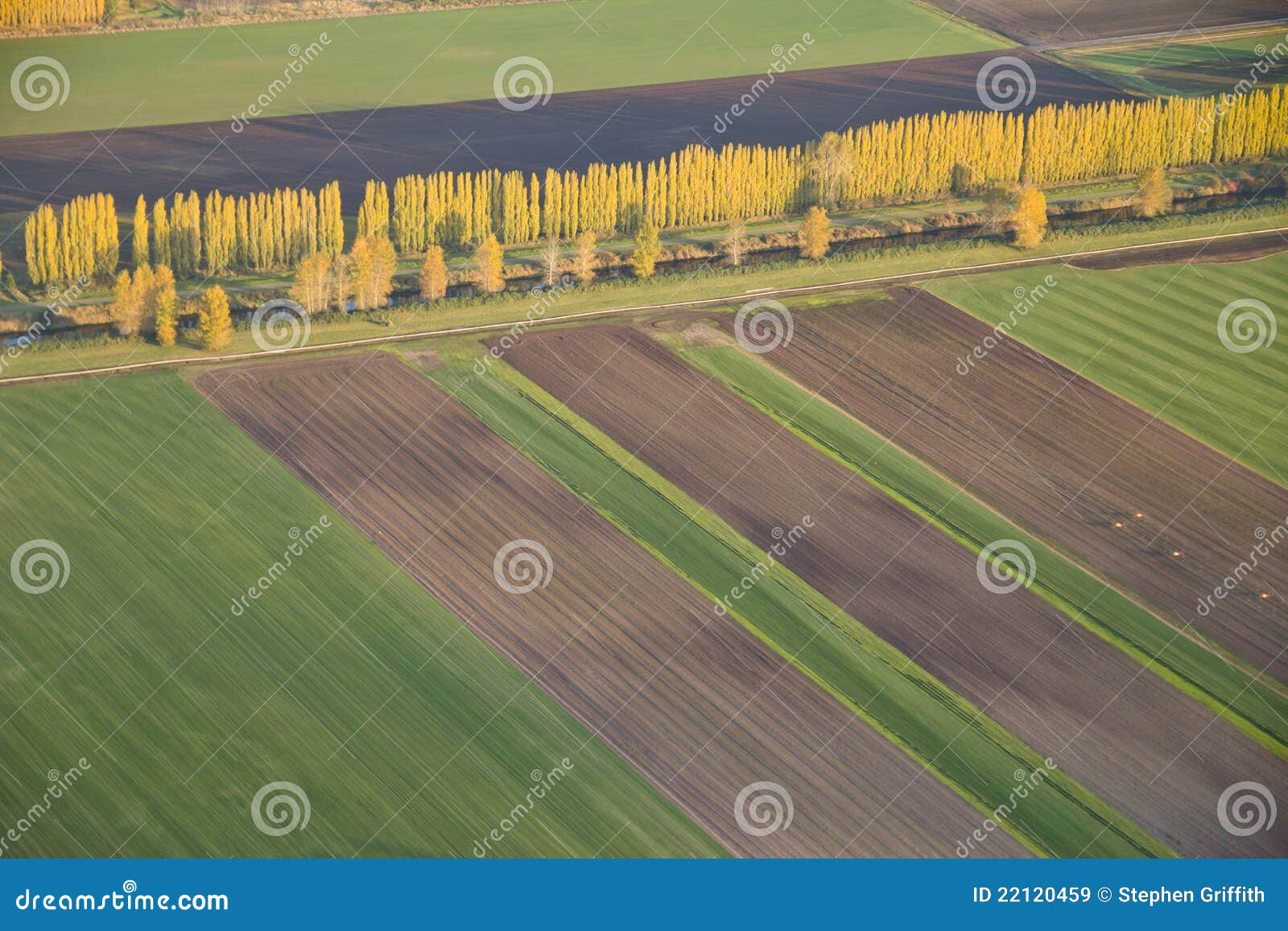 Abstract View of Agricultural Fields and Tree Line Stock Image - Image ...
