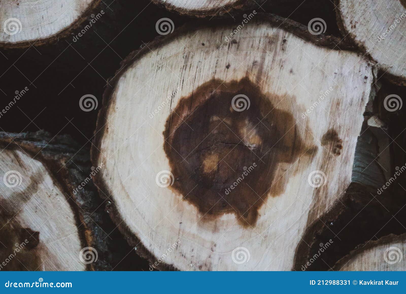 Abstract View Log Pattern Texture Stock Image - Image of logging, rural ...
