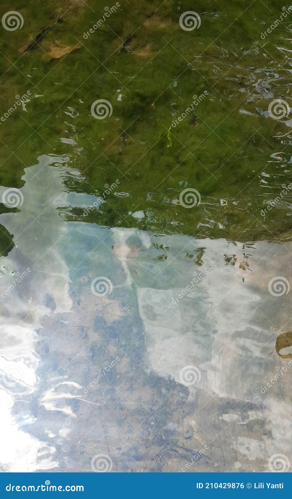 Abstract View of a Pond from Reflections of Clouds and Trees Stock ...