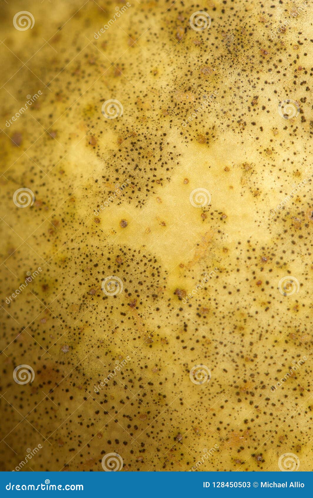 An Abstract View of the Texture of a Potato Stock Image - Image of ...