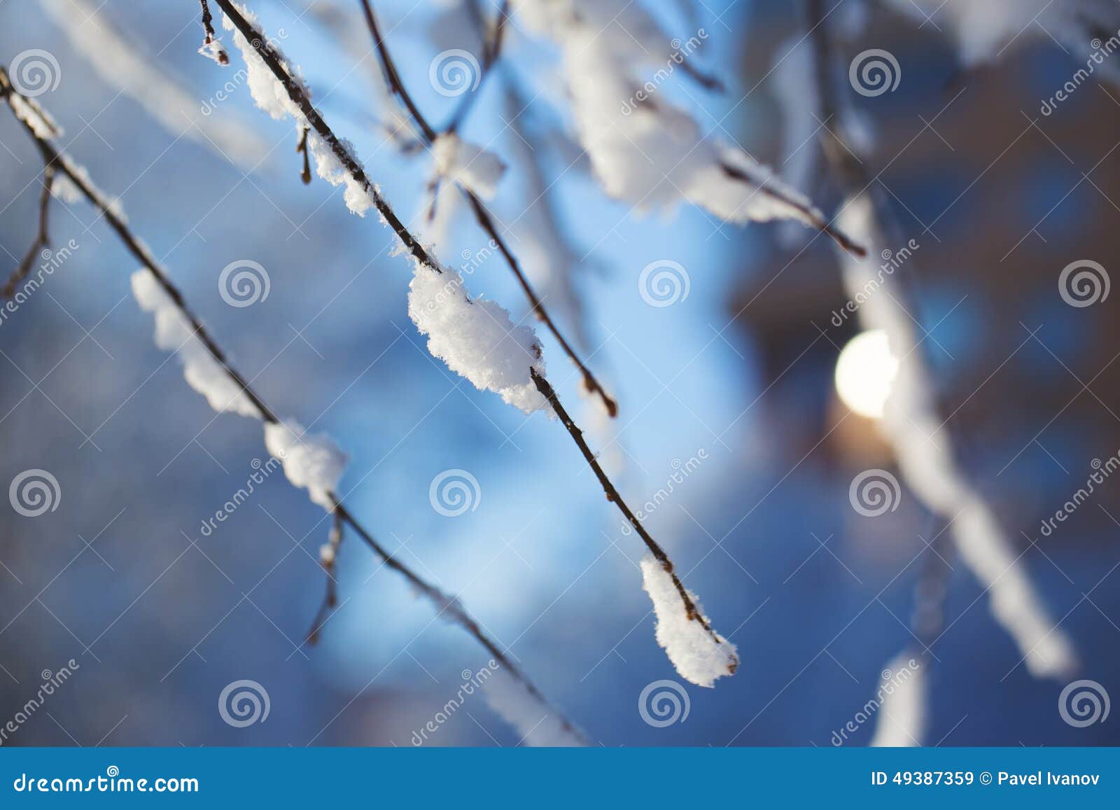 Abstract View of Winter Snow on Tree Branches Stock Image - Image of ...