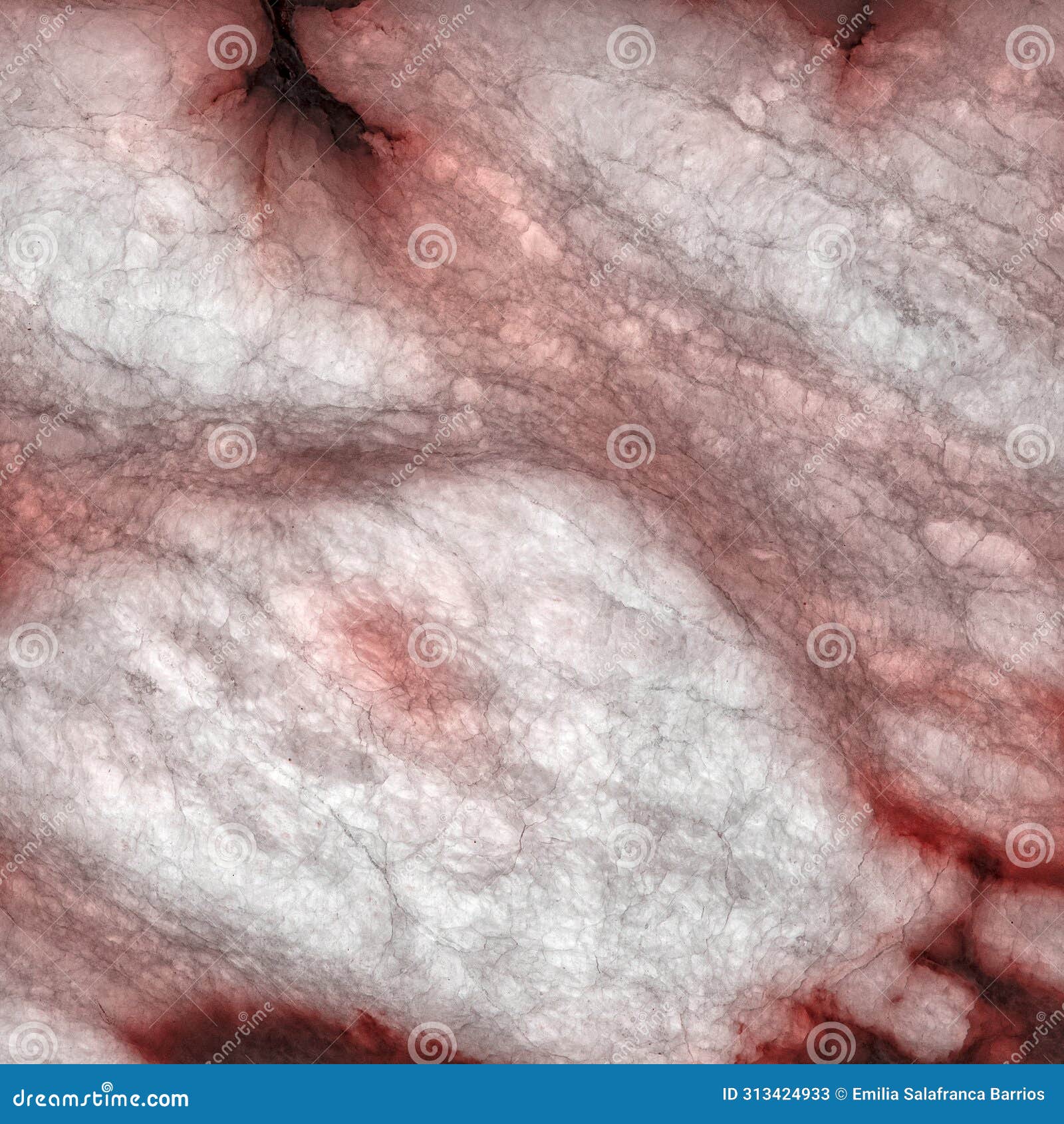 Abstract Voluminous Backlit Texture of Pink Color with Red Veins Stock ...