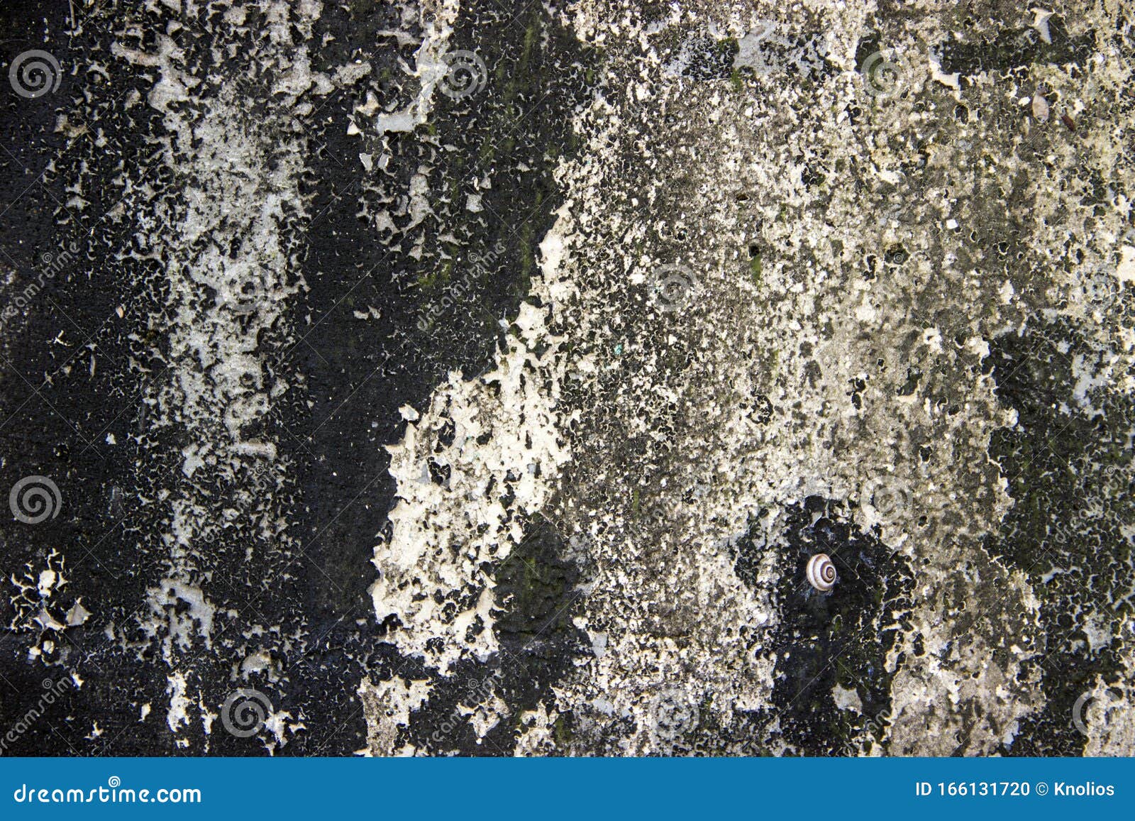 Abstract Wall Texture with Old and New Paint. Scratches and Cracks ...