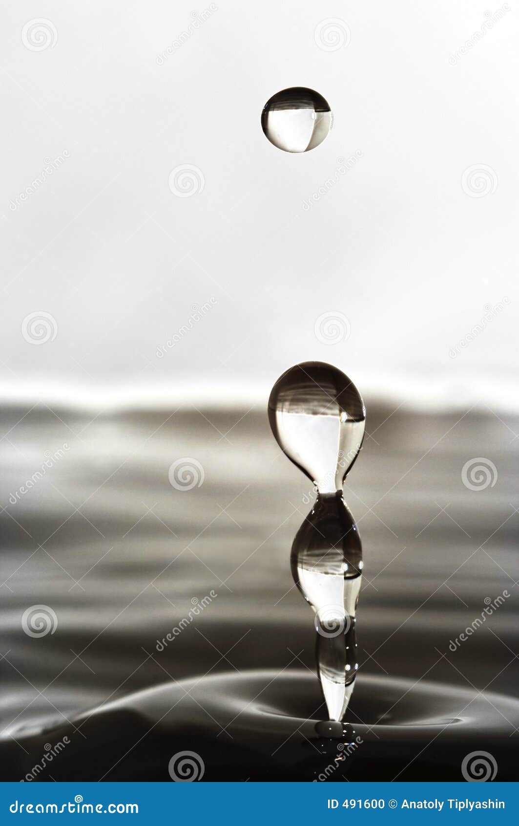 Abstract water drop stock photo. Image of water, black - 491600