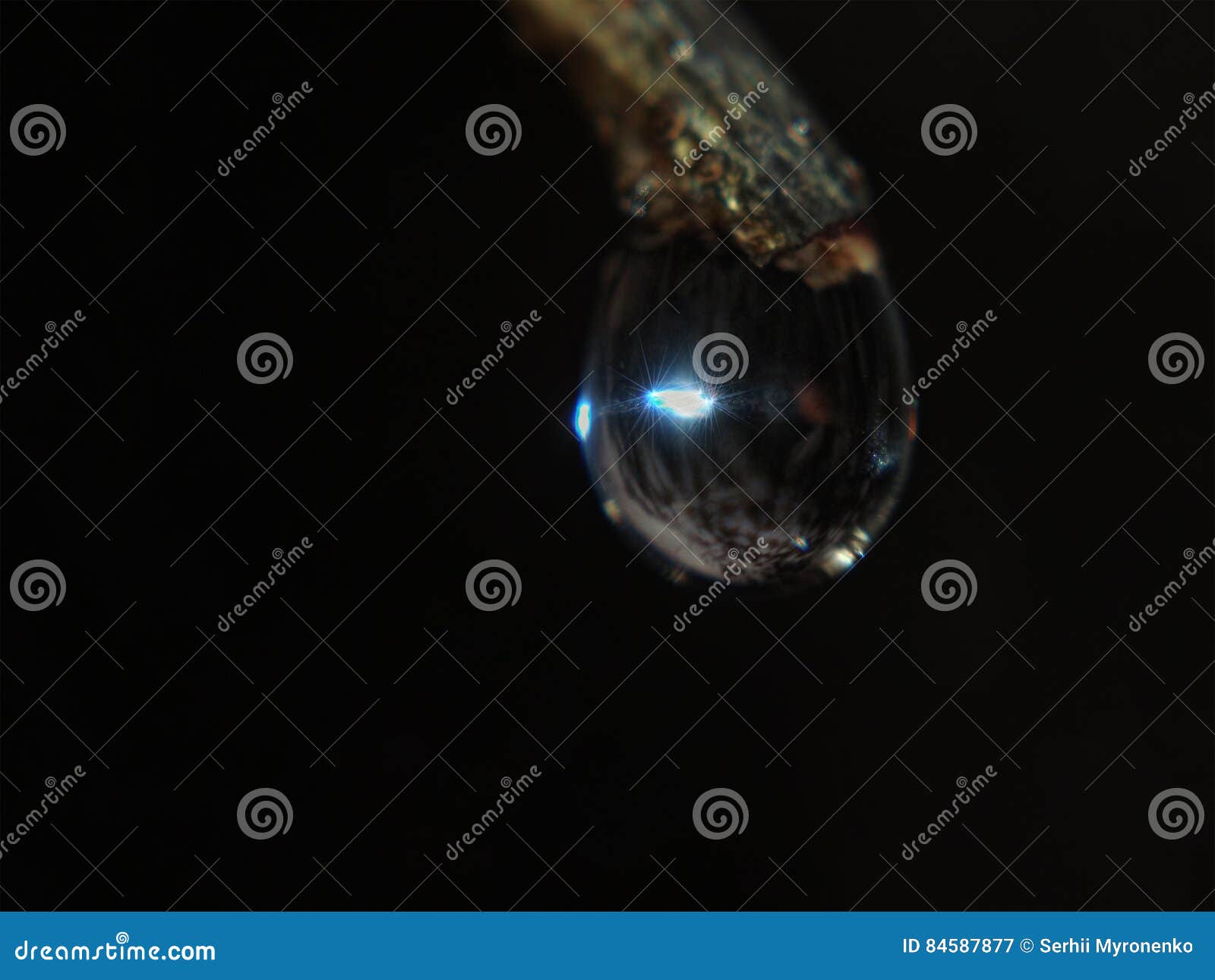 Abstract Water Drop with Reflection on Branch End Stock Image - Image ...