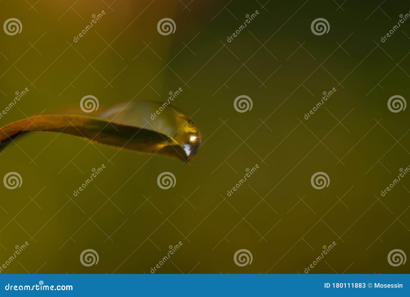 Abstract Water drop tear stock image. Image of garden - 180111883