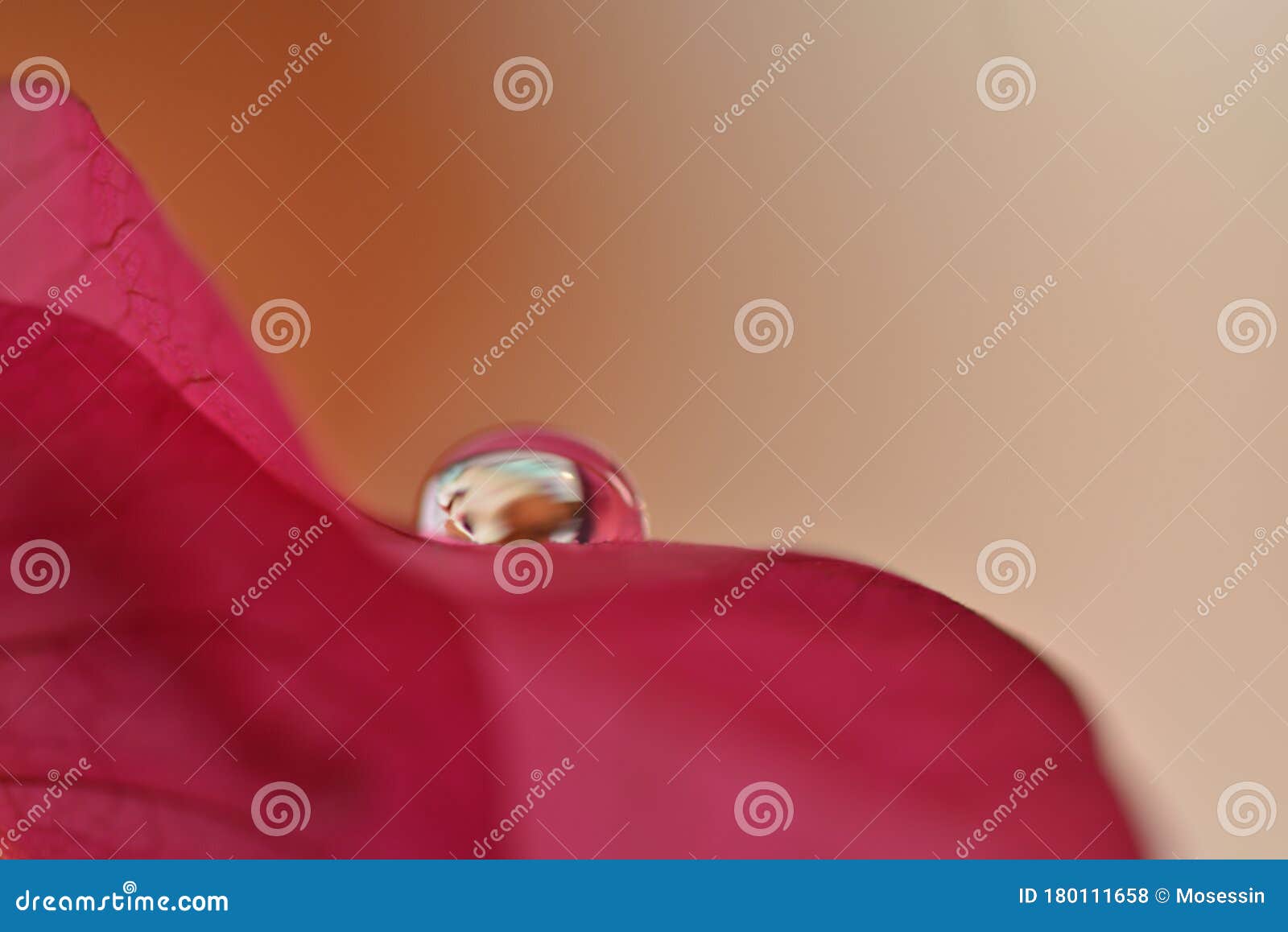 Abstract Water drop tear stock photo. Image of leaves - 180111658