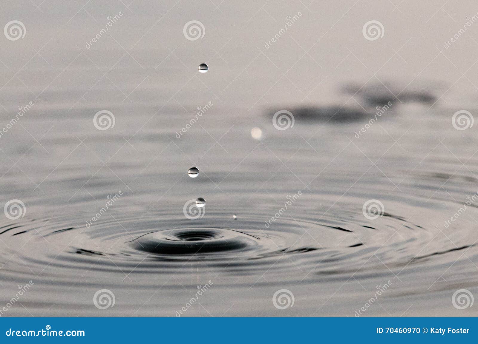 Abstract of Water Drops and Ripples Stock Photo - Image of outside ...