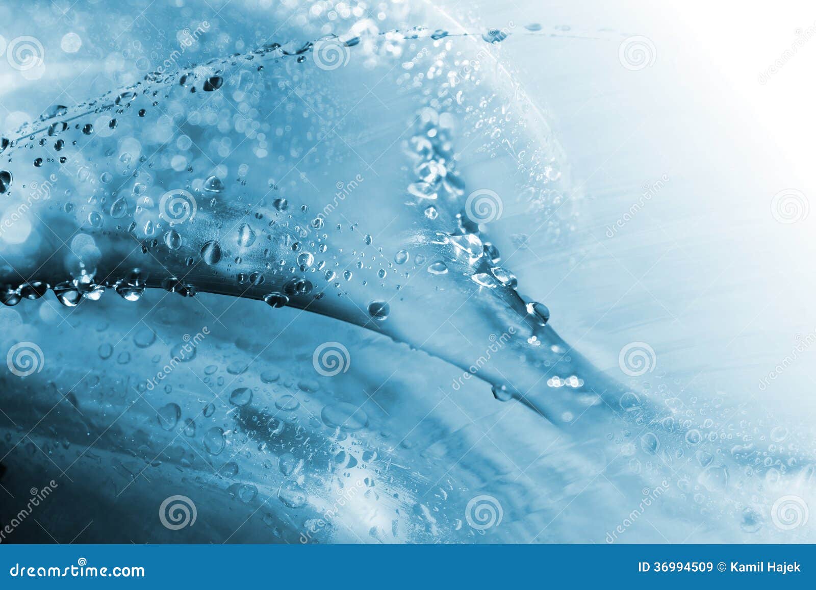 Overlapping Water Drops Stock Photos - Free & Royalty-Free Stock Photos ...