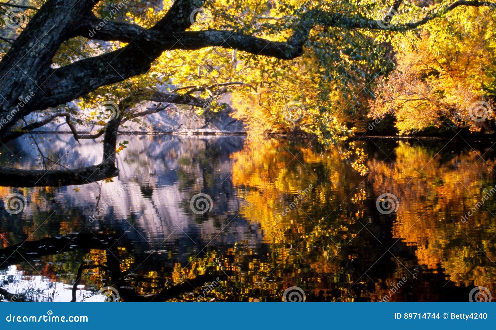 Abstract Water Reflection of a River in Fall Colors. Stock Photo ...