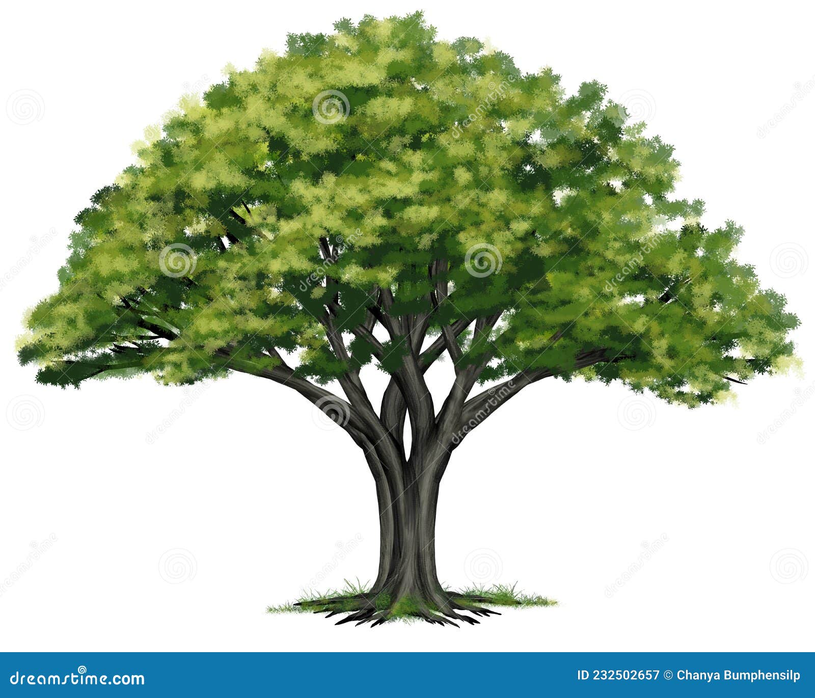 Tree Side View for Landscape View Stock Illustration - Illustration of ...