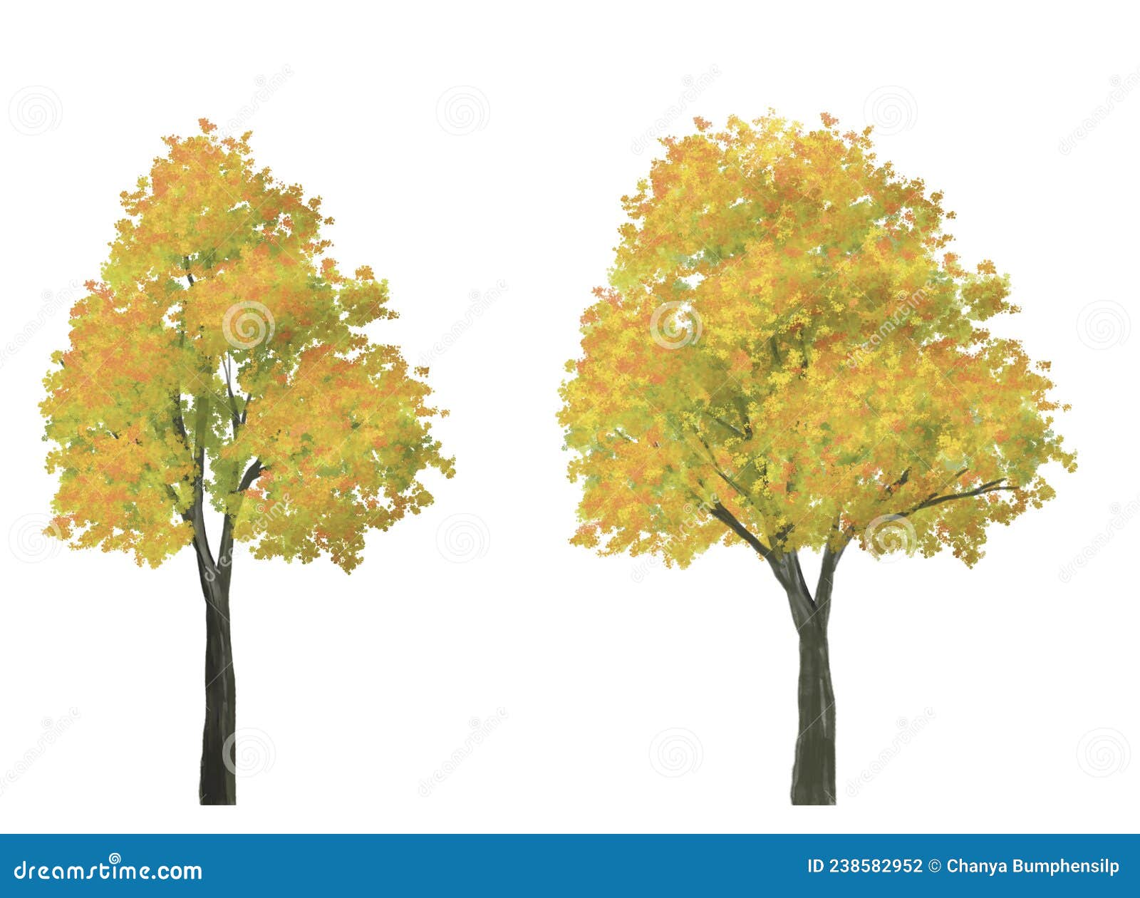 Tree Side View for Landscape Plan Stock Illustration - Illustration of ...