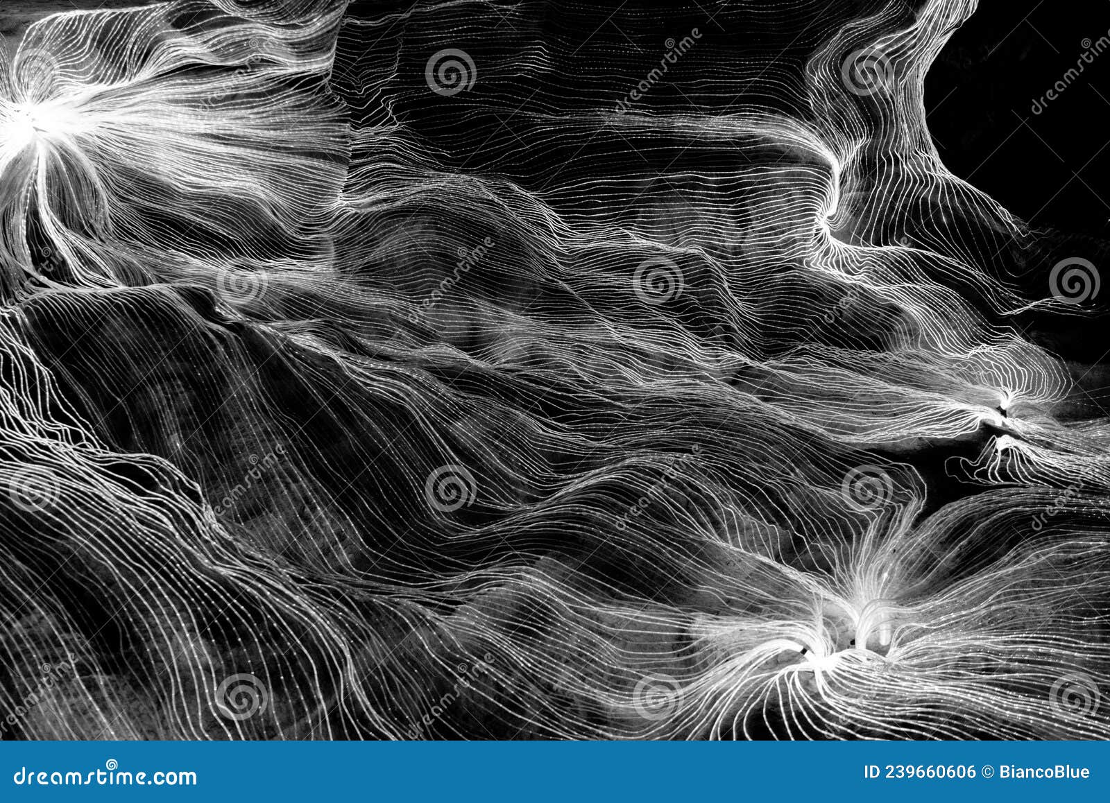 Abstract Wave of Digital Weave Lines Connecting Network Dots and Dark ...