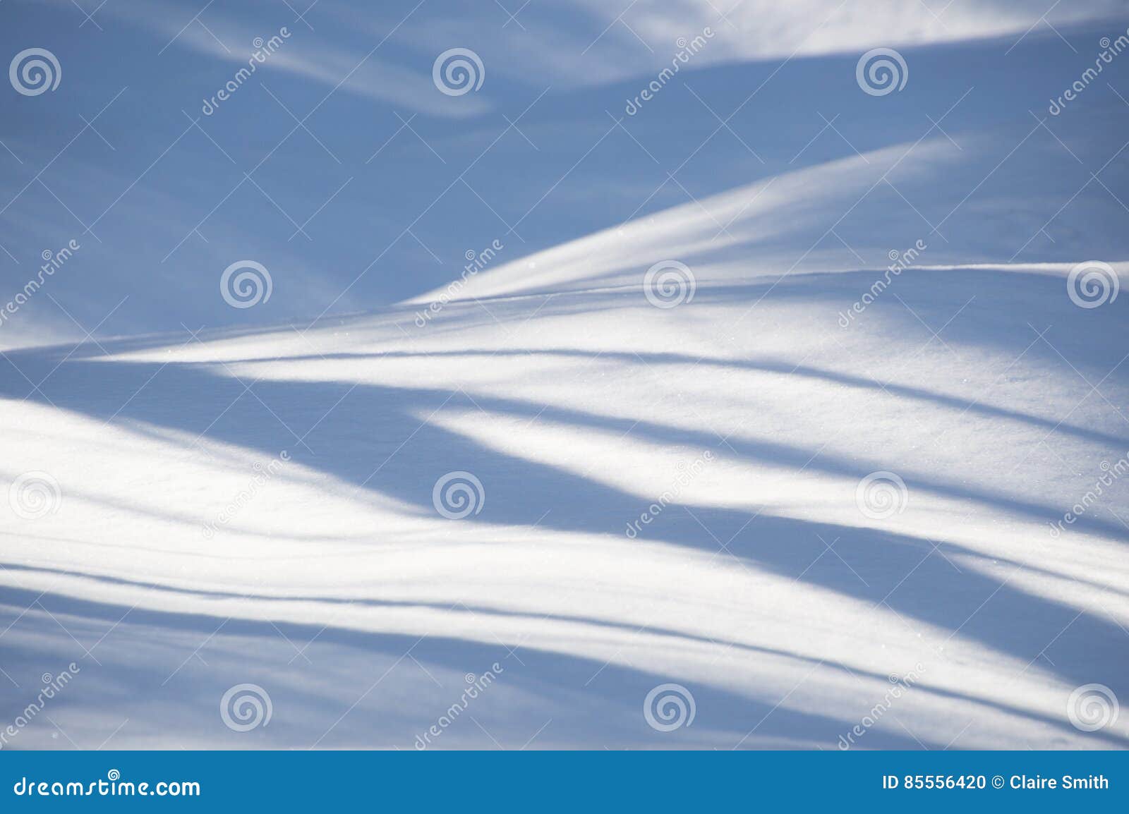 Abstract Wavy Blue Tree Shadows on the Snow Stock Photo - Image of ...