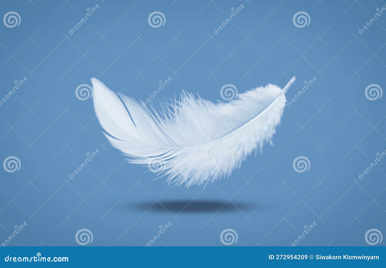 Abstract White Bird Feather Falling in the Air. Float Feather Stock ...