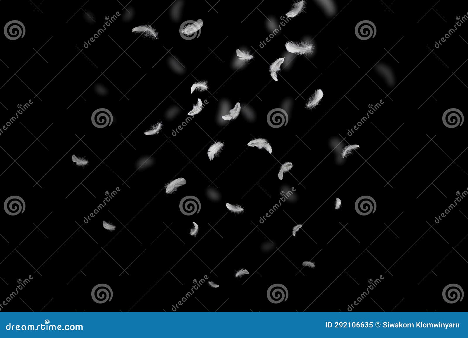 Abstract White Bird Feathers Falling in the Air. Feathers Floating on ...