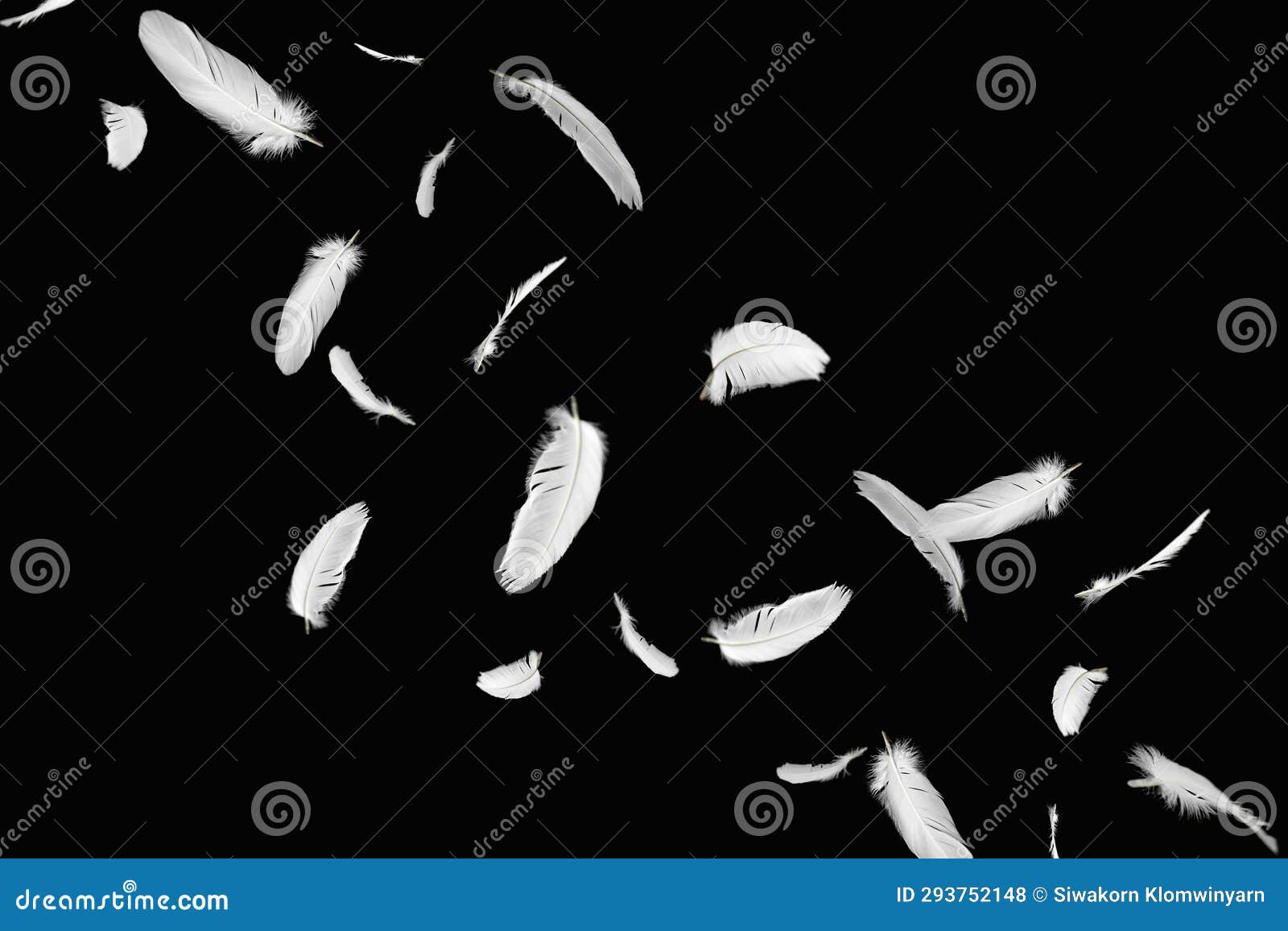 Abstract White Bird Feathers Falling in the Air. Feathers Floating on ...