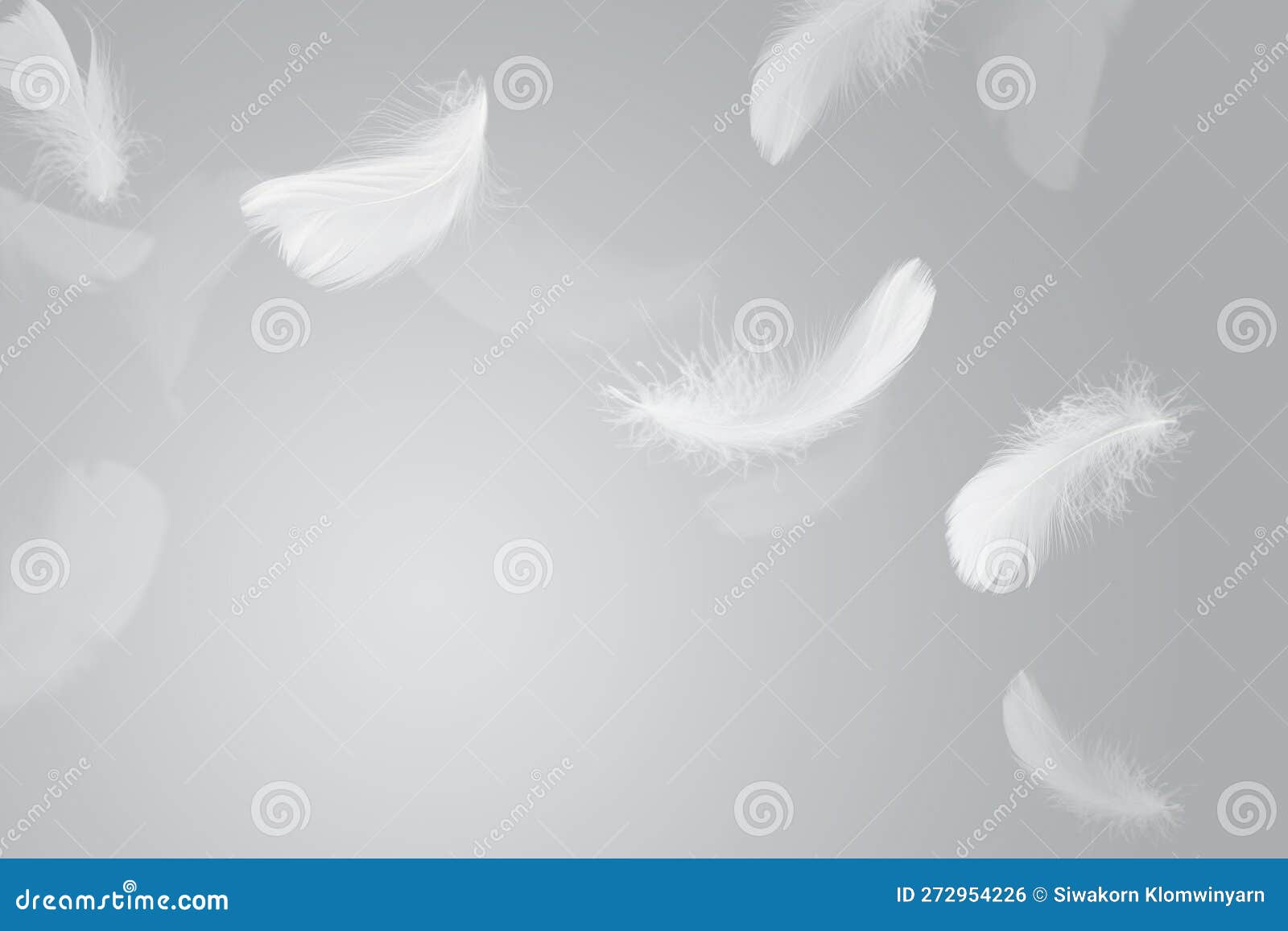 Cat And Feathers Are Falling Around Royalty-Free Stock Image ...
