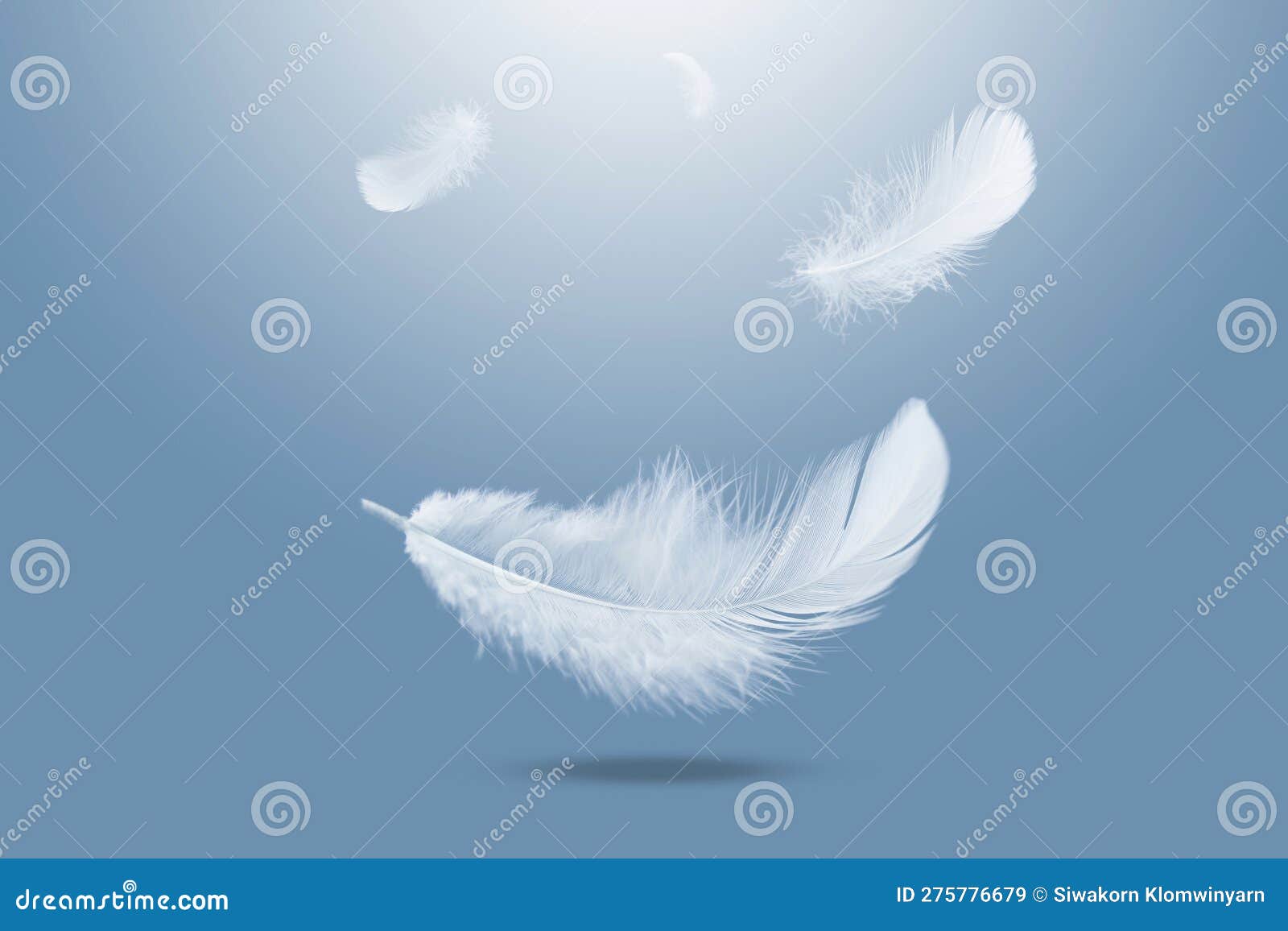 Abstract White Bird Feathers Falling in the Air. Floating Feathers in ...